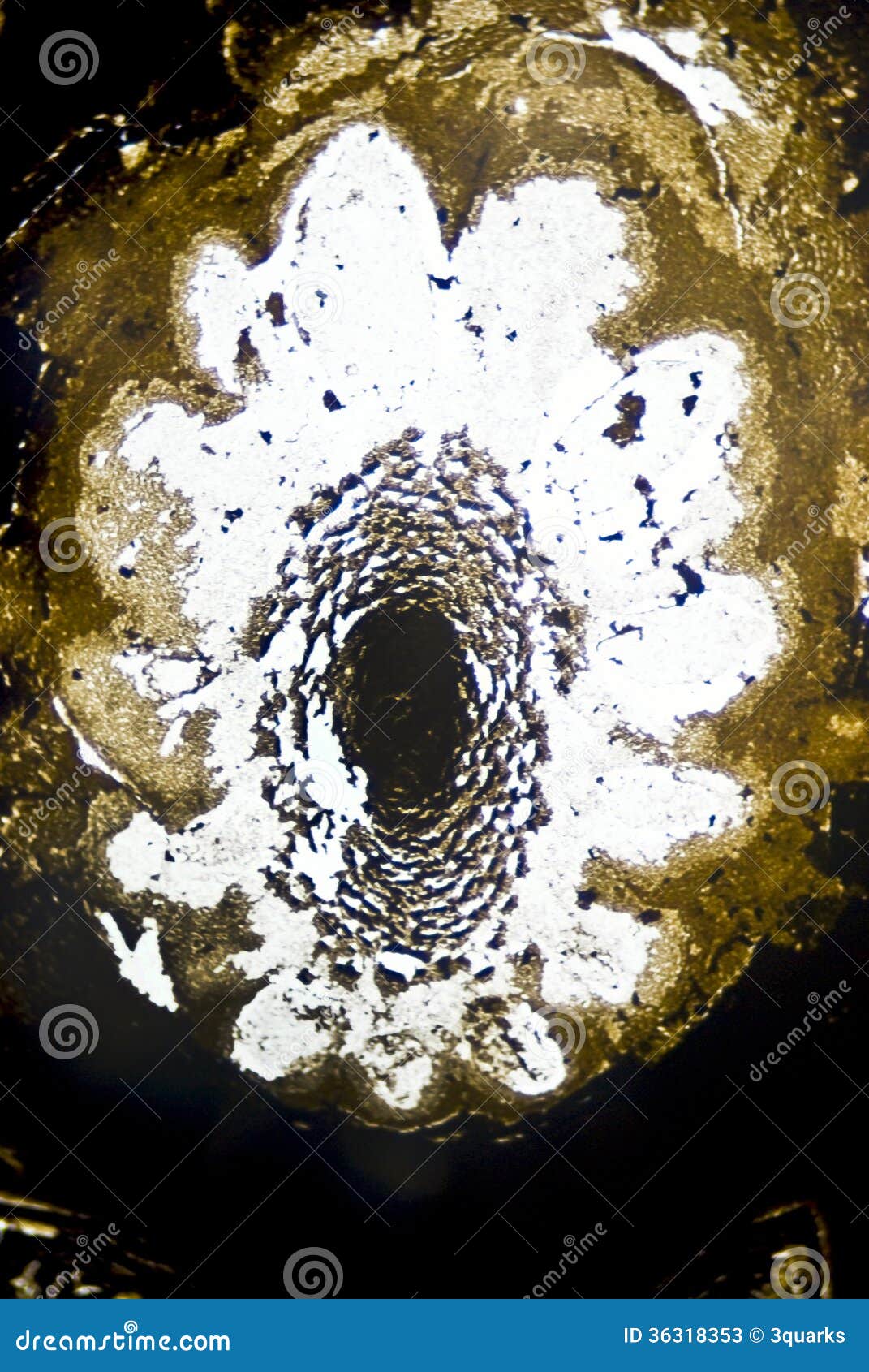 Microscopic soot particles stock image. Image of shapes - 36318353