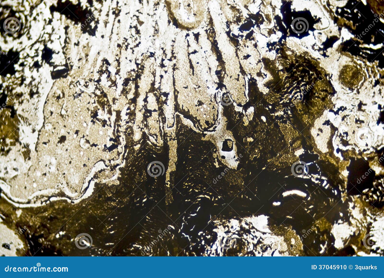Microscopic soot particles stock photo. Image of petrol - 37045910