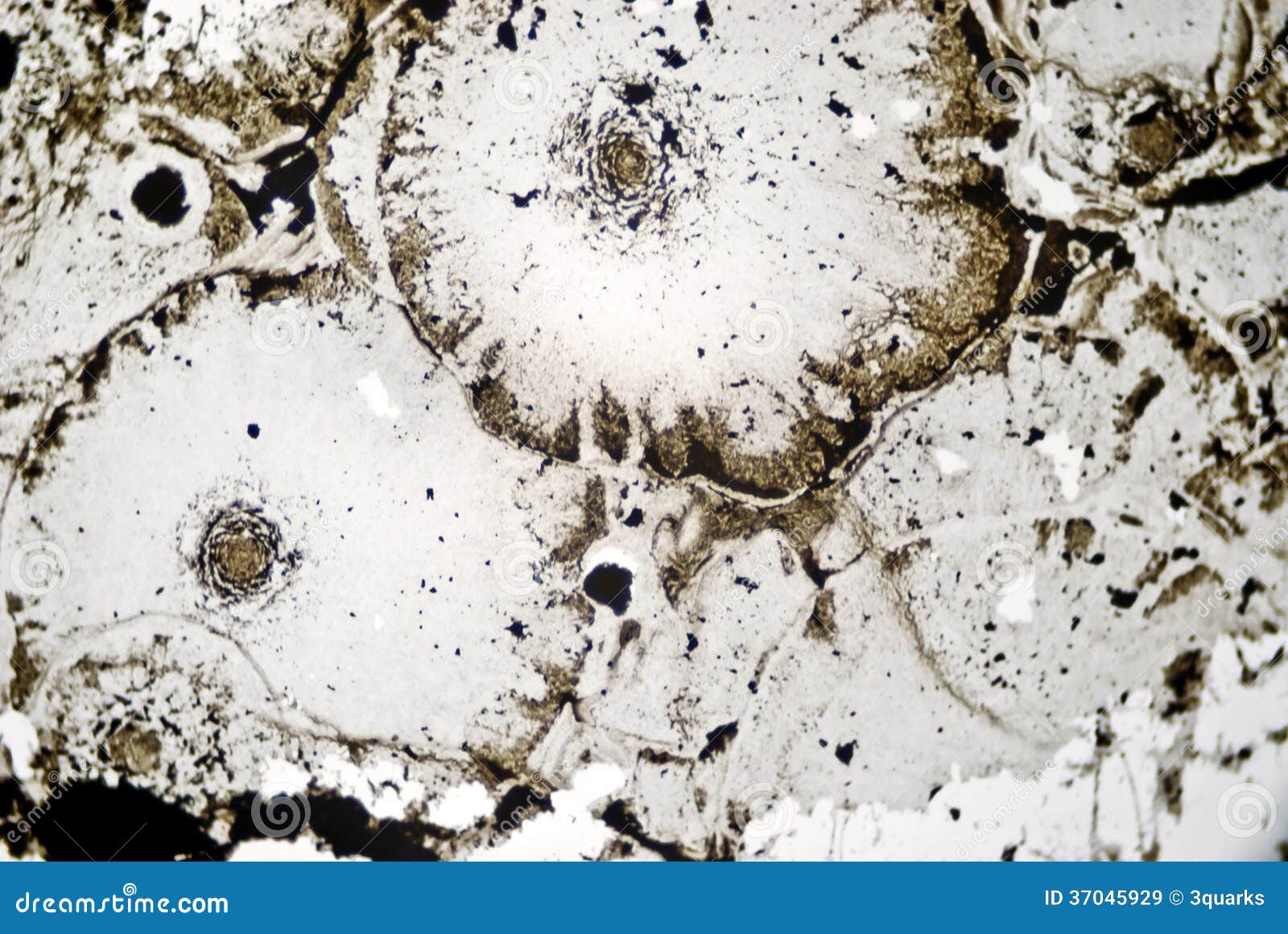 Microscopic soot particles stock image. Image of microphotography ...