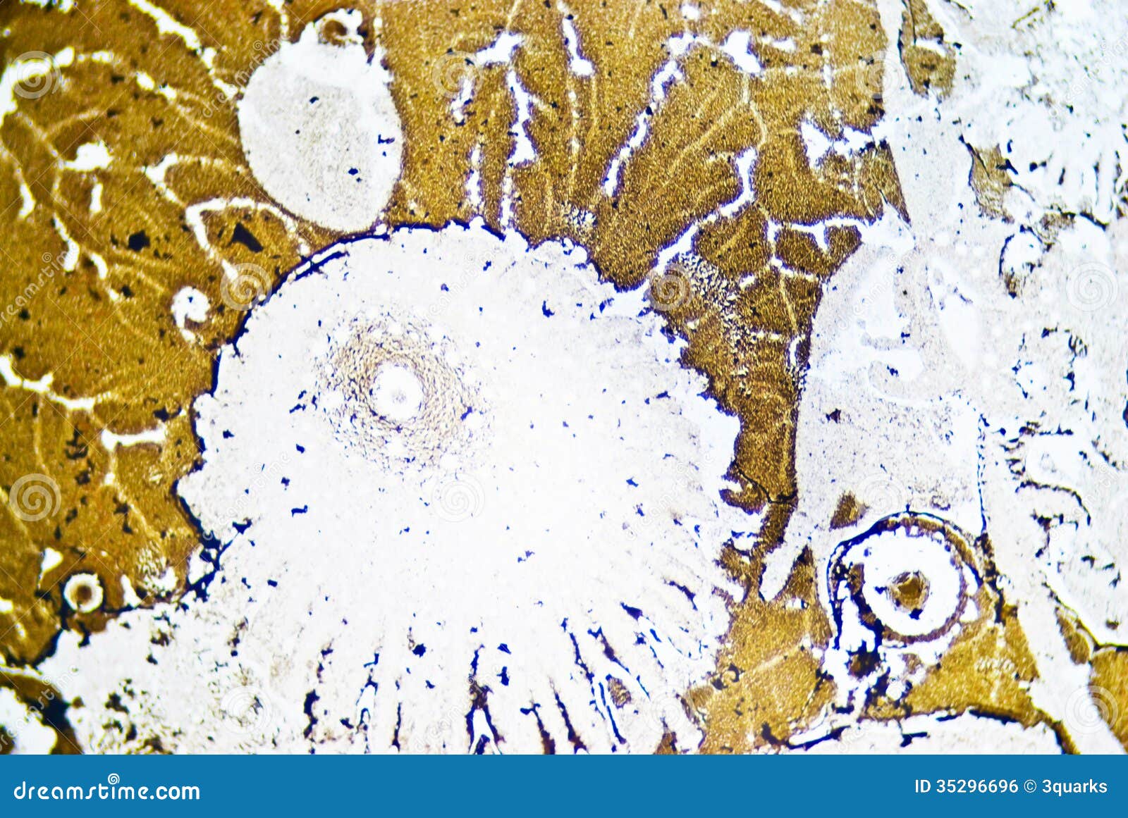 Microscopic soot particles stock photo. Image of microphotography ...