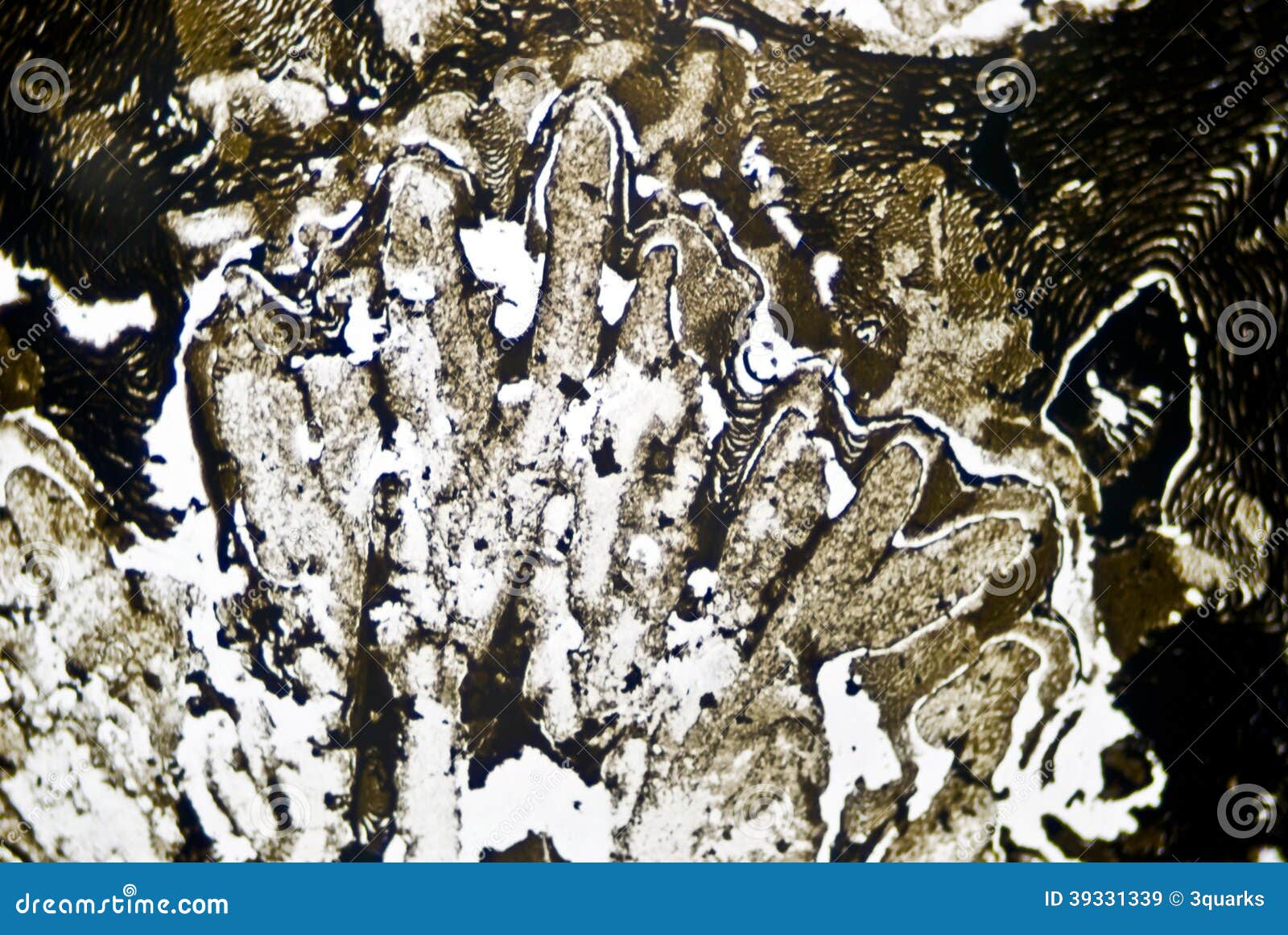 Microscopic soot particles stock image. Image of shapes - 39331339