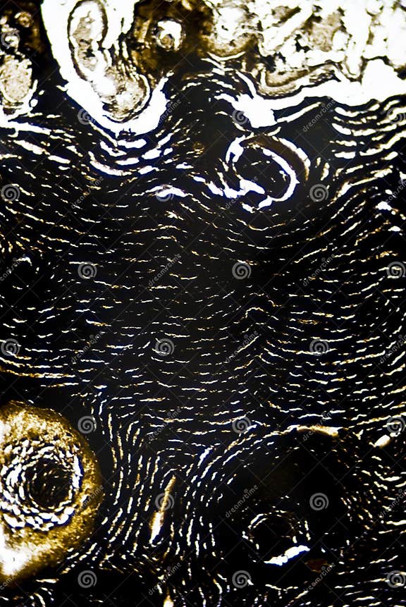 Microscopic soot particles stock photo. Image of abstract - 39331410