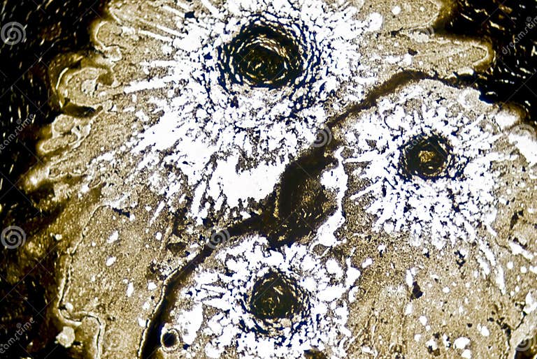 Microscopic soot particles stock photo. Image of microphotography ...