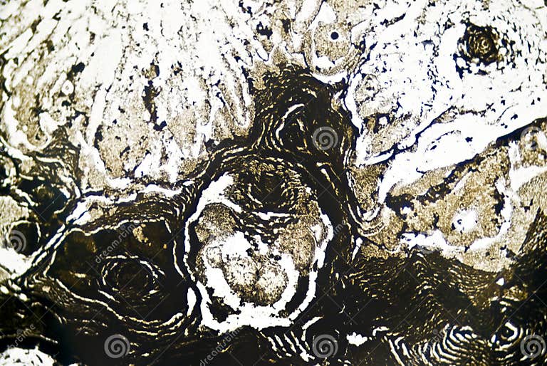 Microscopic soot particles stock image. Image of black - 39331433