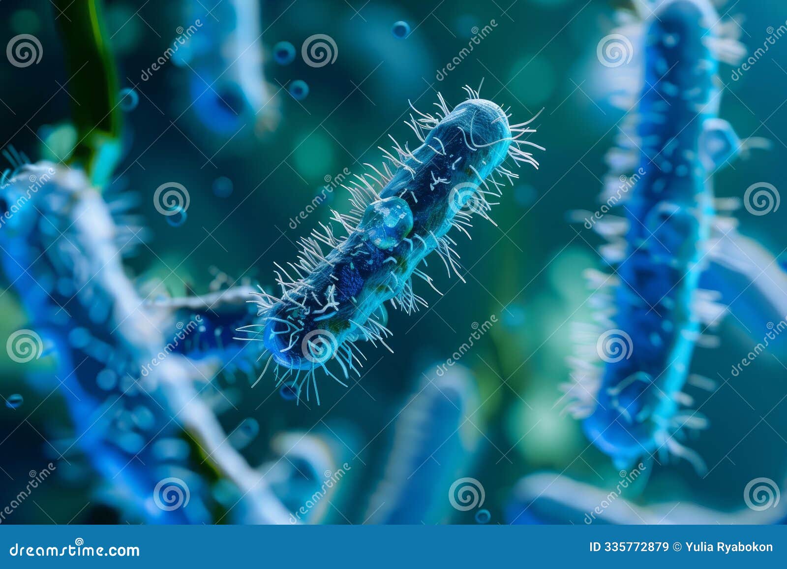 Microscopic View of Bacteria Cells Multiplying and Spreading Stock ...