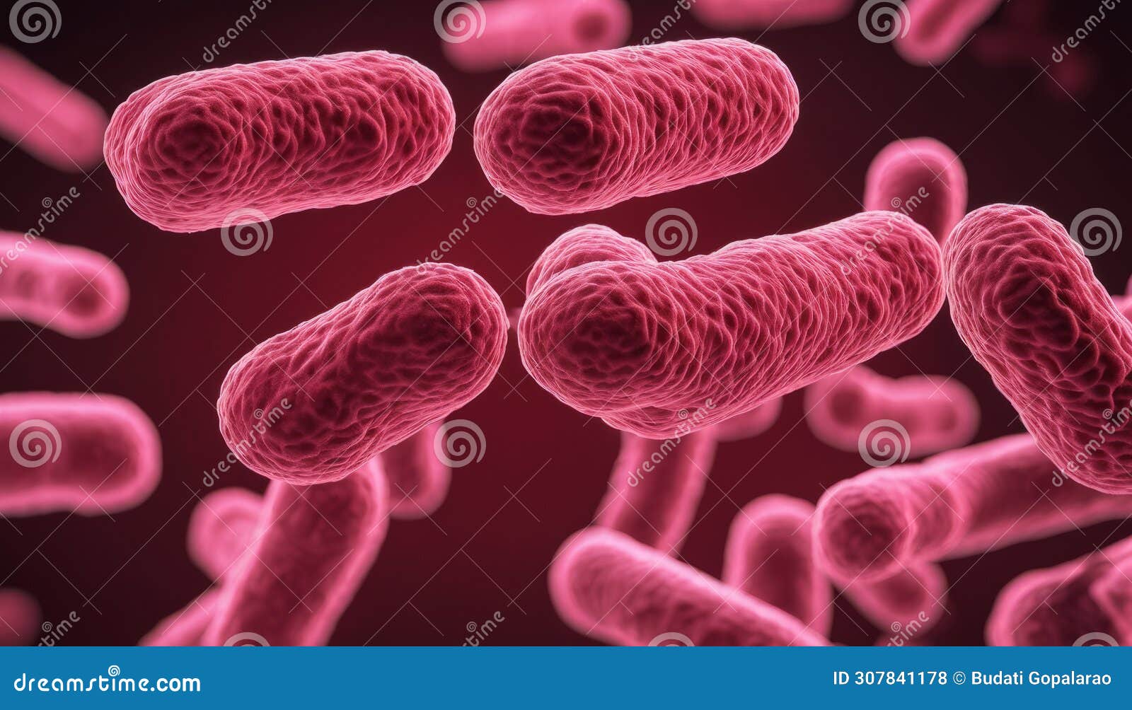 Microscopic View of Bacteria, a Common Cause of Infections Stock ...