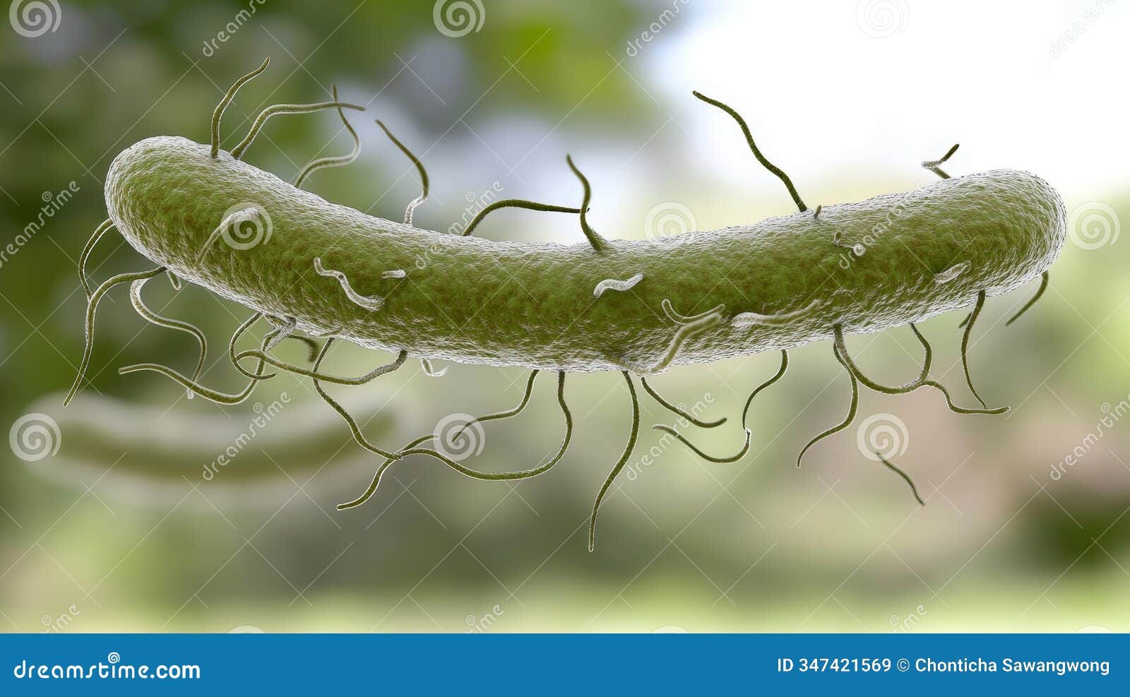 Microscopic View of Bacteria, Exploring the Intricate World of Cellular Structures and ...