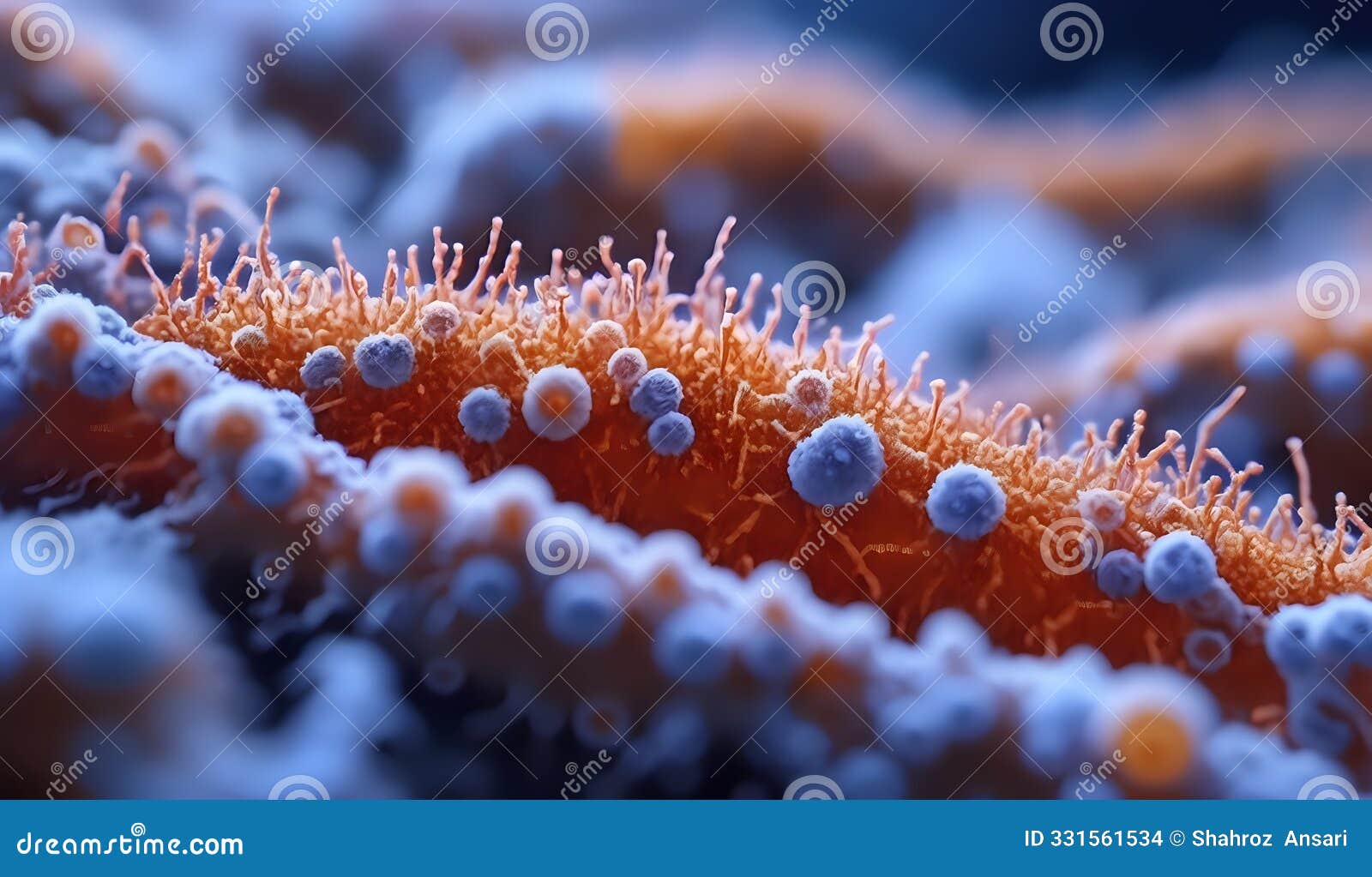 Microscopic View of Bacteria Stock Illustration - Illustration of ...