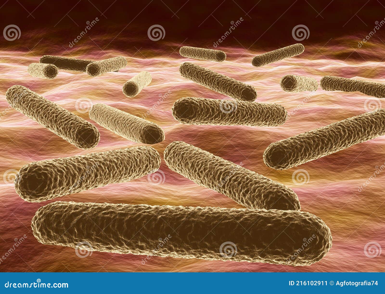 Microscopic View of Bacteria Mycobacterium Tuberculosis Causative Agent ...