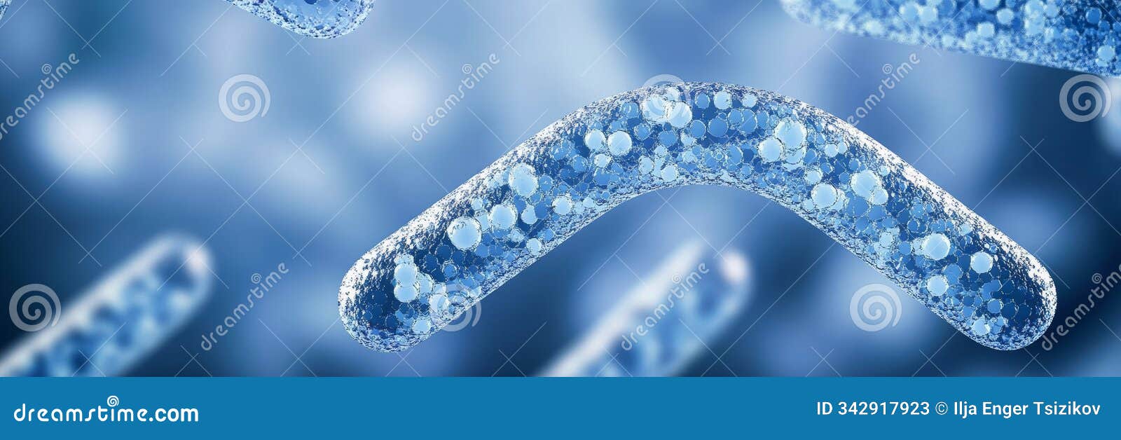 Illustration Of Vibrio Cholerae Bacteria, Cause Cholera Disease ...