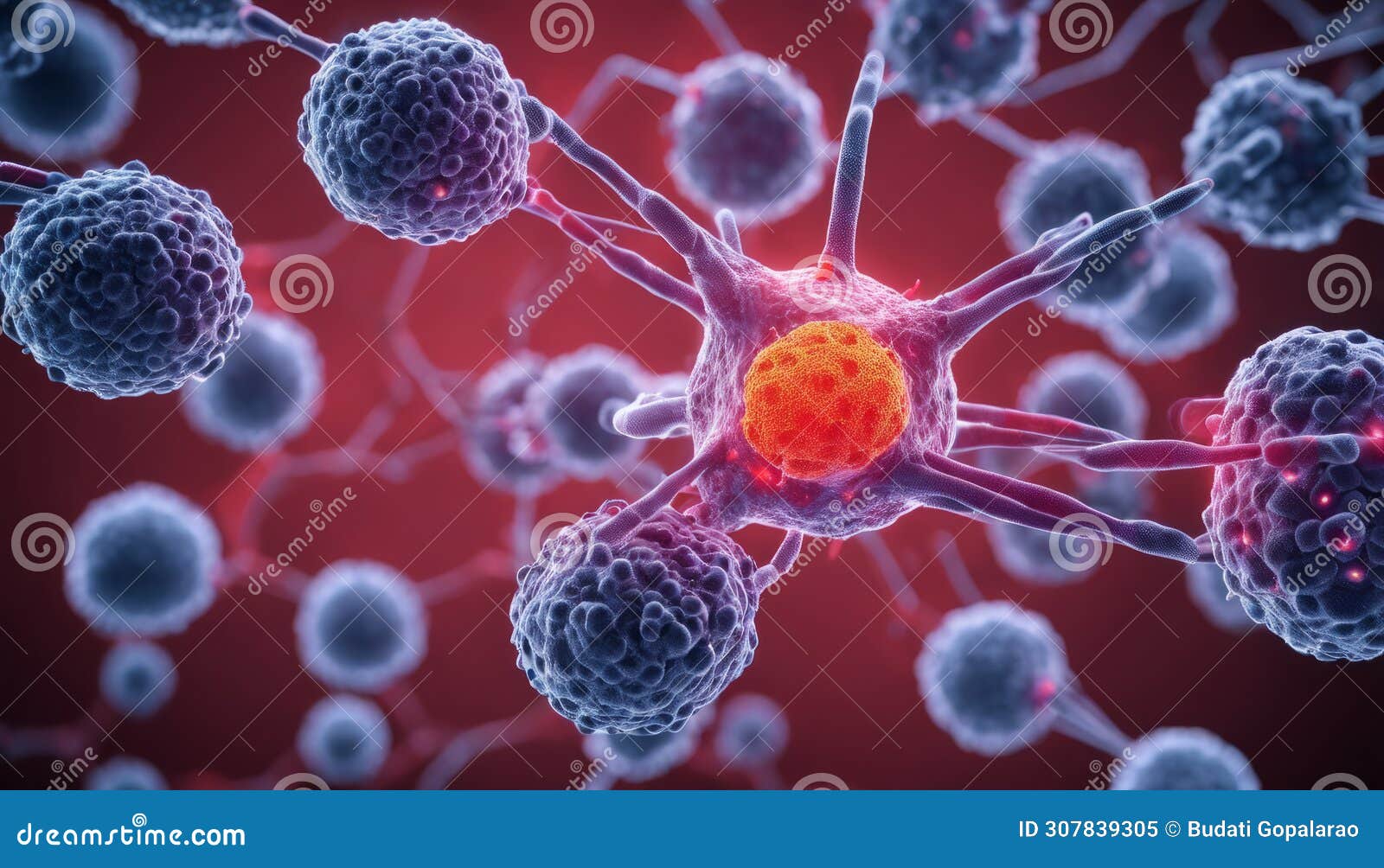 A Microscopic View of a Cancer Cell, Highlighting Its Unique Structure ...