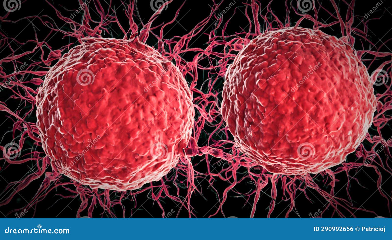 A Microscopic View of a Cancer Cells Splitting. Stock Illustration ...