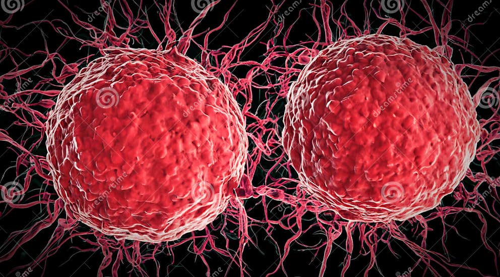 A Microscopic View of a Cancer Cells Splitting. Stock Illustration ...