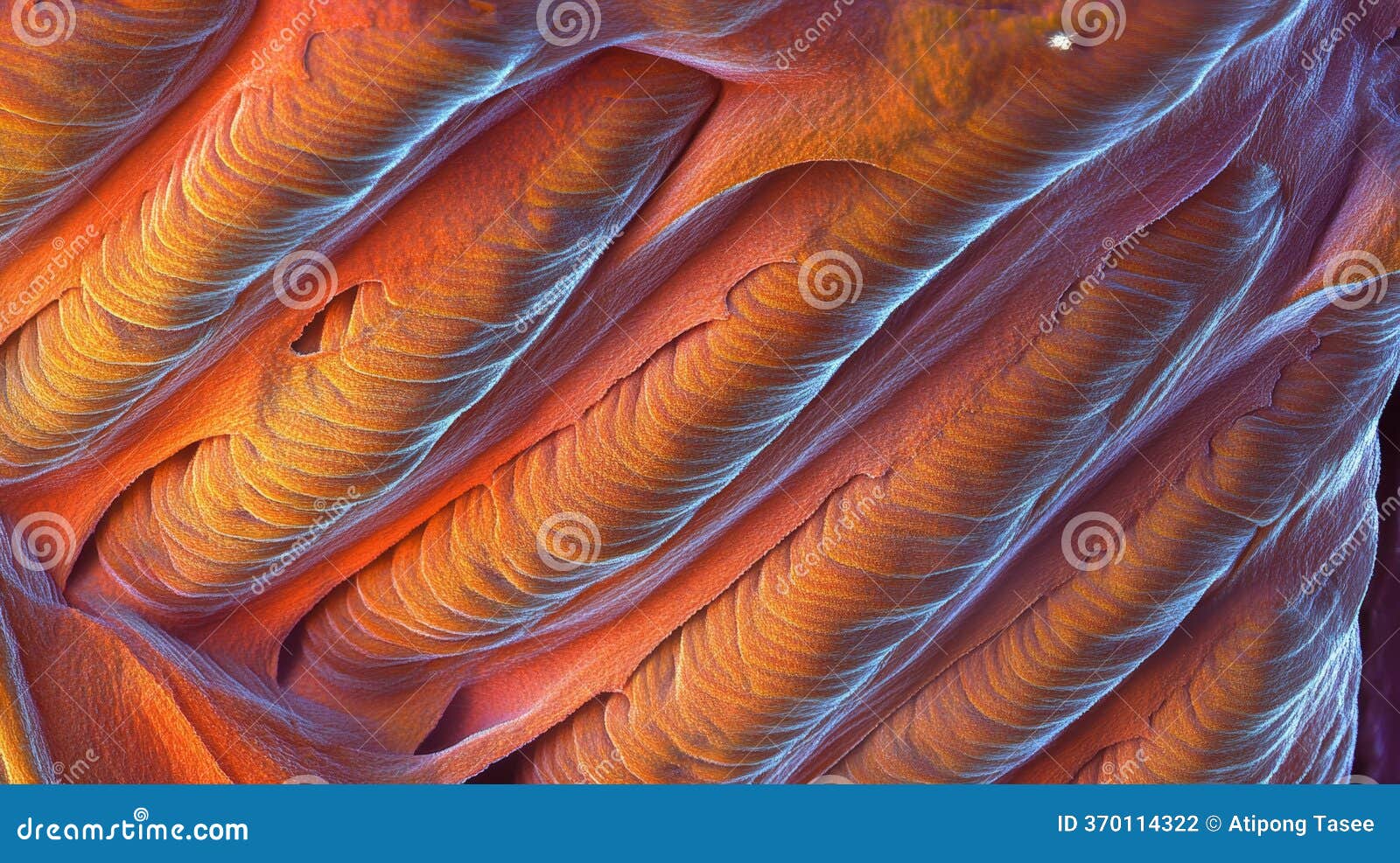 Adjacent Tissue Transfer Or Rearrangement, Trunk Defect 10 Sq Cm Or ...