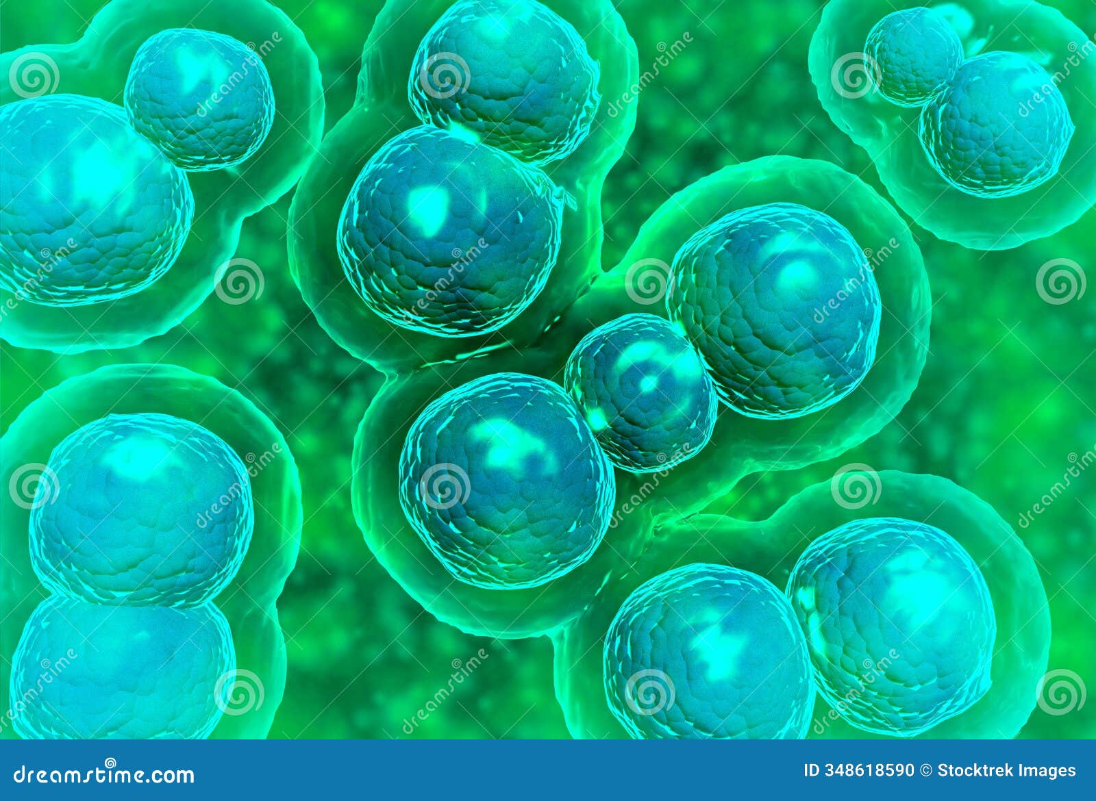 Microscopic View of Chlamydia. Stock Illustration - Illustration of ...