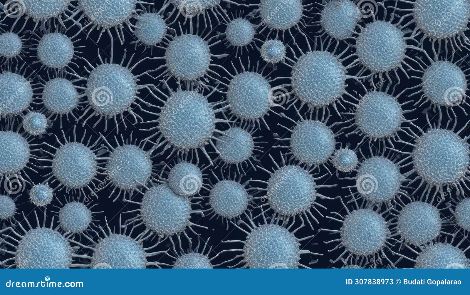 Microscopic View of a Cluster of Bacteria, Magnified for Scientific ...