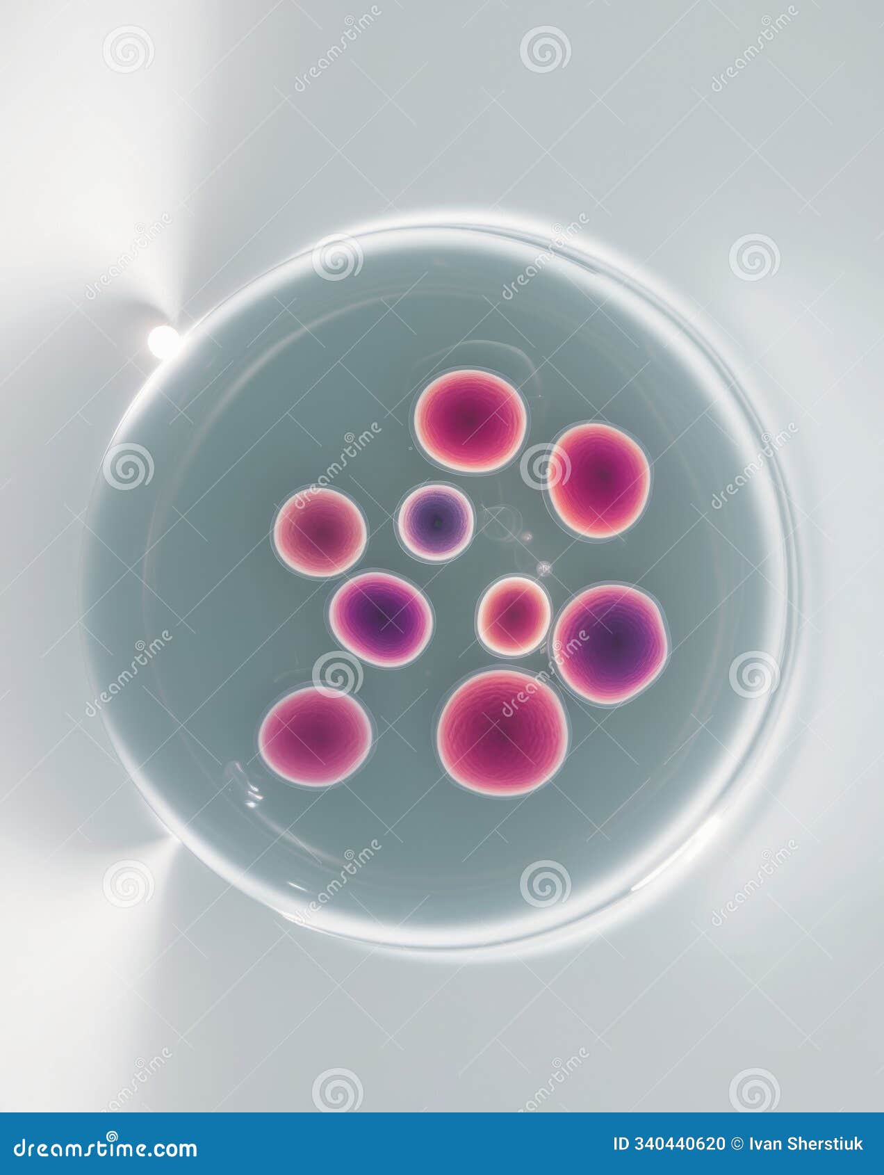 Microscopic View of a Colorful Biological Specimen with Rounded Cells ...