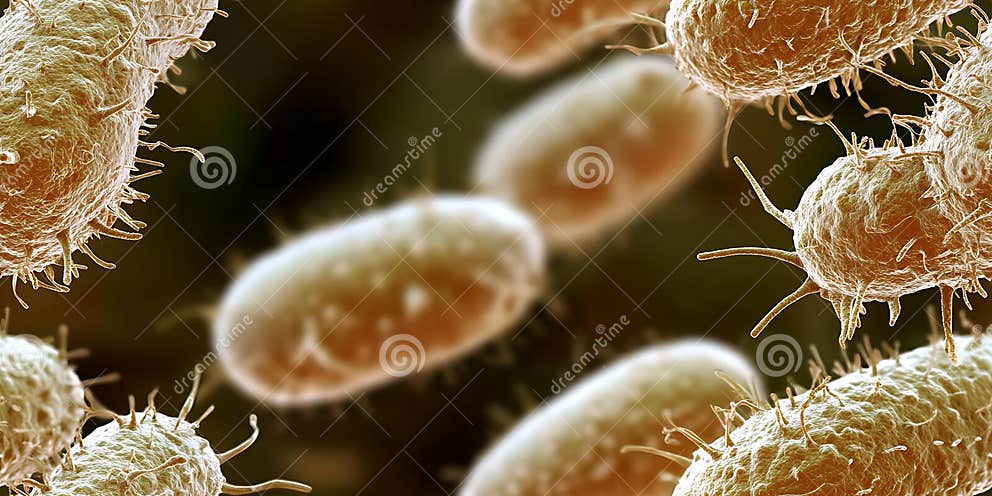 Microscopic View of Complex Bacterial Structures in Seamless Repeat ...