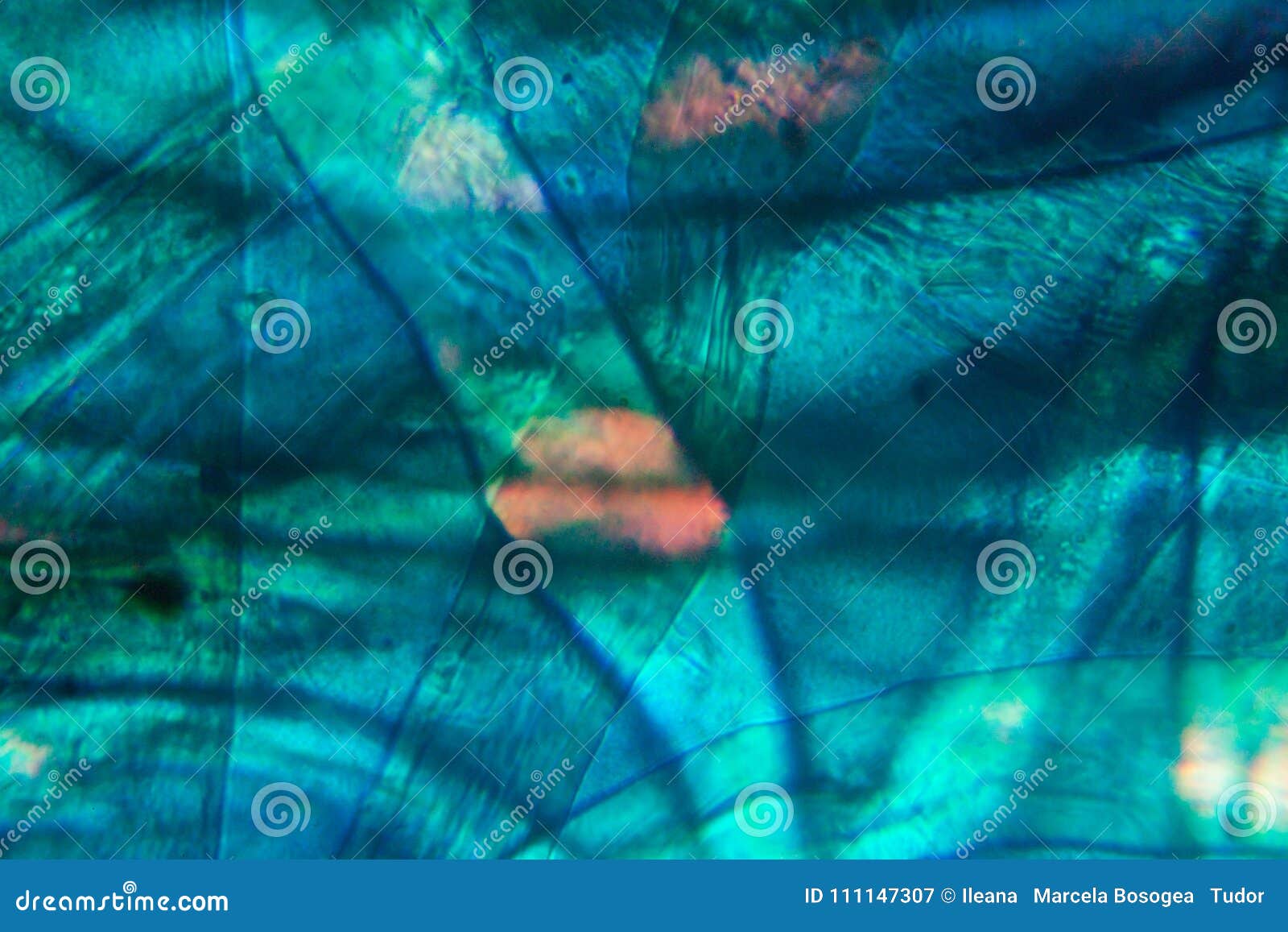 Microscopic view of dust stock image. Image of dirt - 111147307