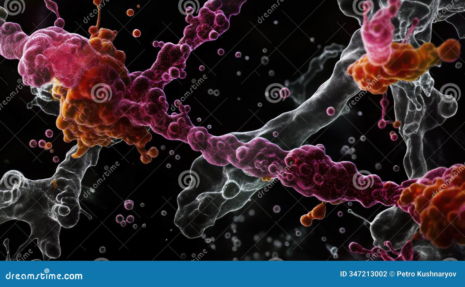 Microscopic View of Dynamic Protein Interaction. Actin, Spectrin ...