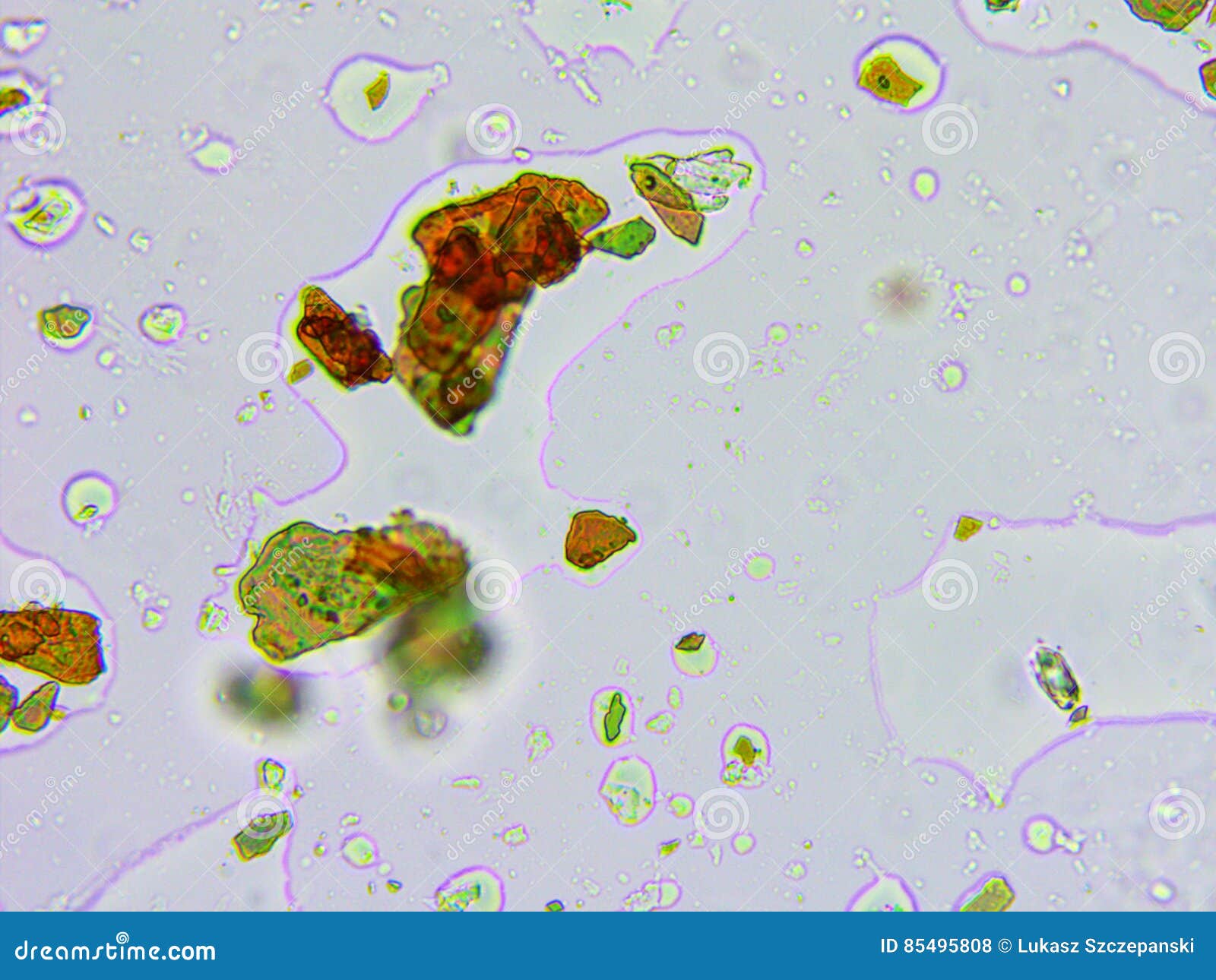 Microscopic View of an Eyeshadow Stock Photo - Image of product ...