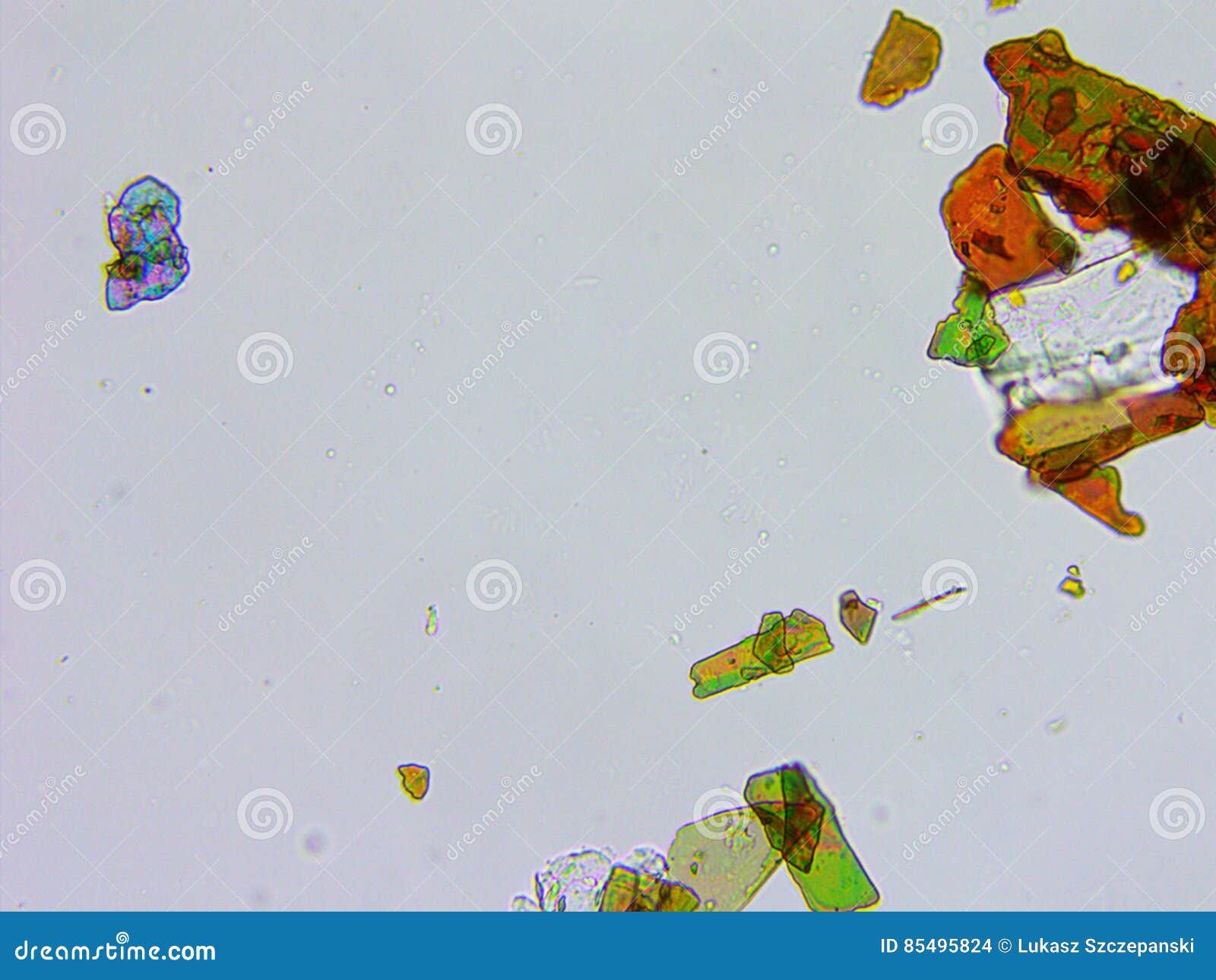 Microscopic View of an Eyeshadow Stock Photo - Image of product, gold ...