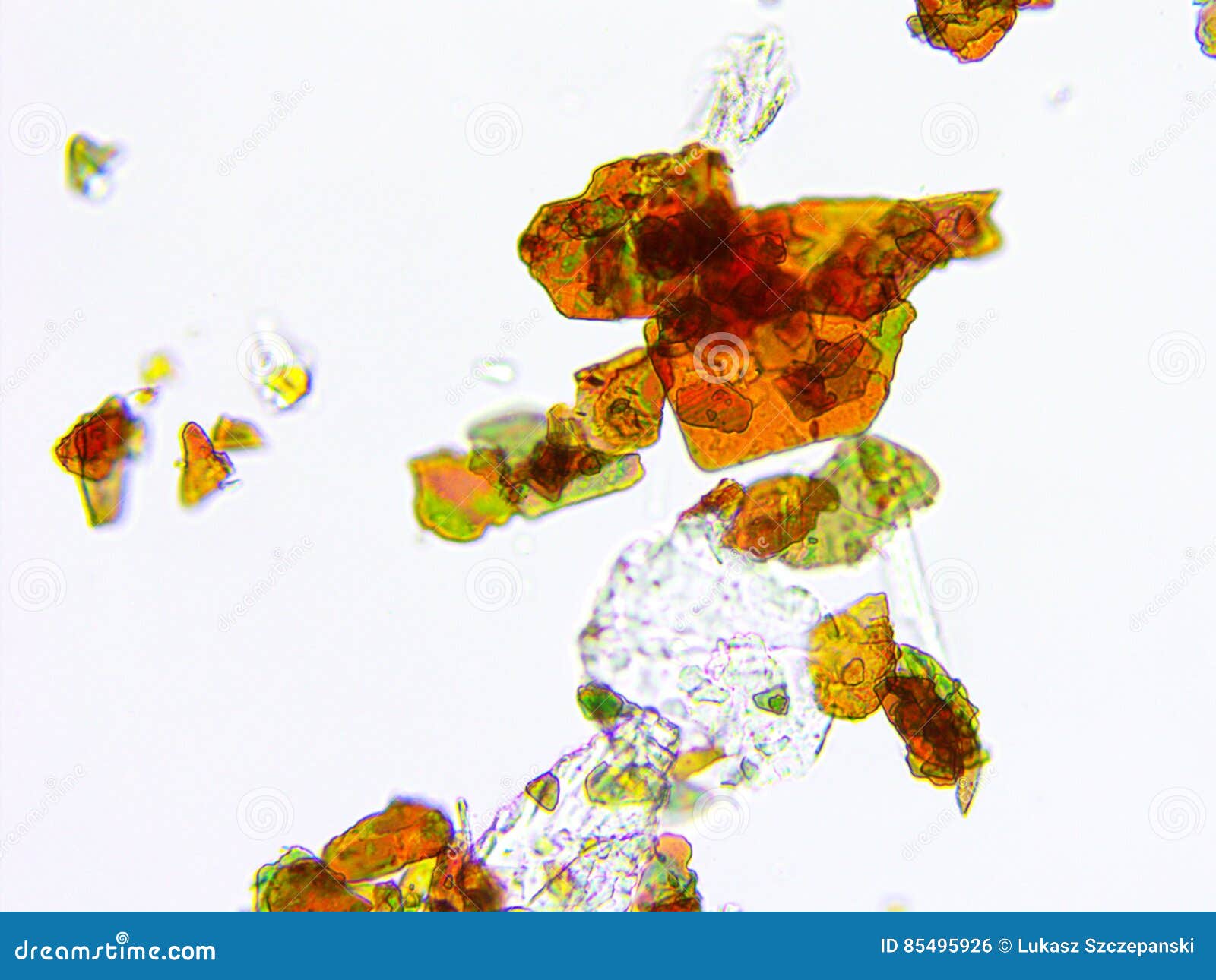 Microscopic View of an Eyeshadow Stock Photo - Image of microscope ...