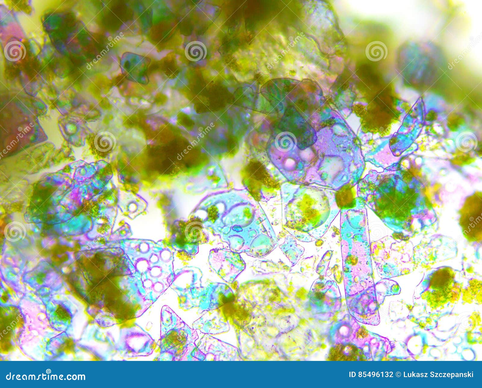 Microscopic View of an Eyeshadow Stock Photo - Image of cosmetics ...