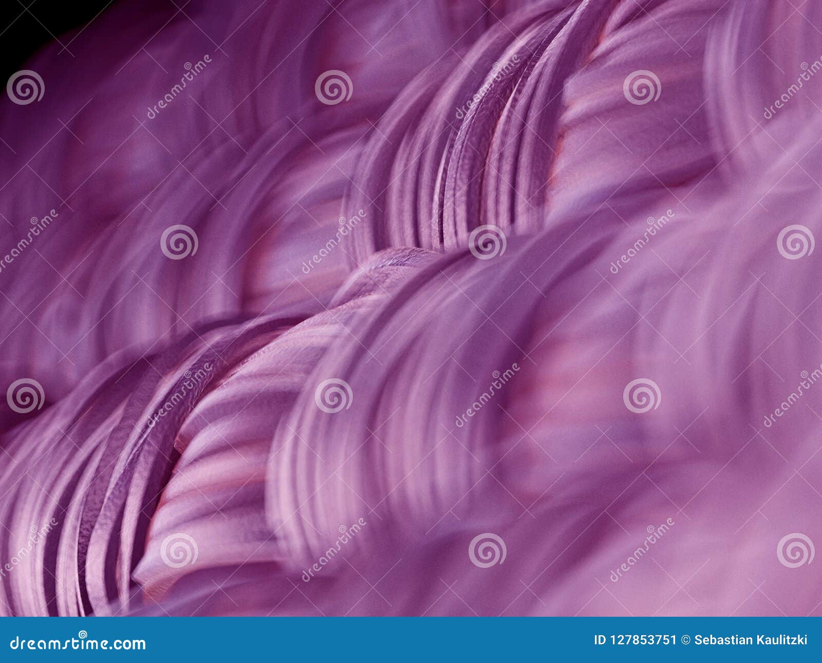 Microscopic View Of Fat Tissue. Adipocytes Shown In Detail. Complex ...