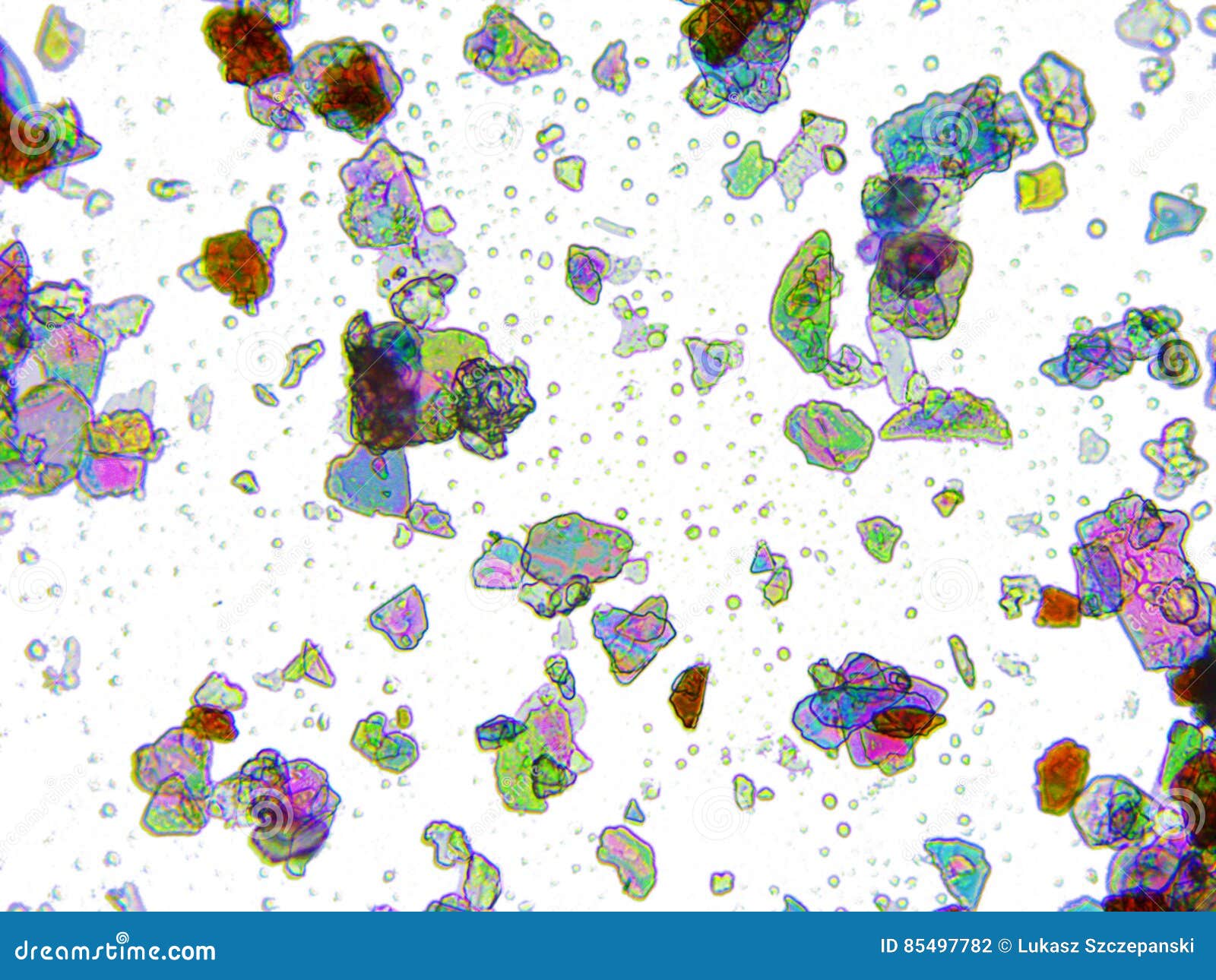 765 Microscopic Face Stock Photos - Free & Royalty-Free Stock Photos ...