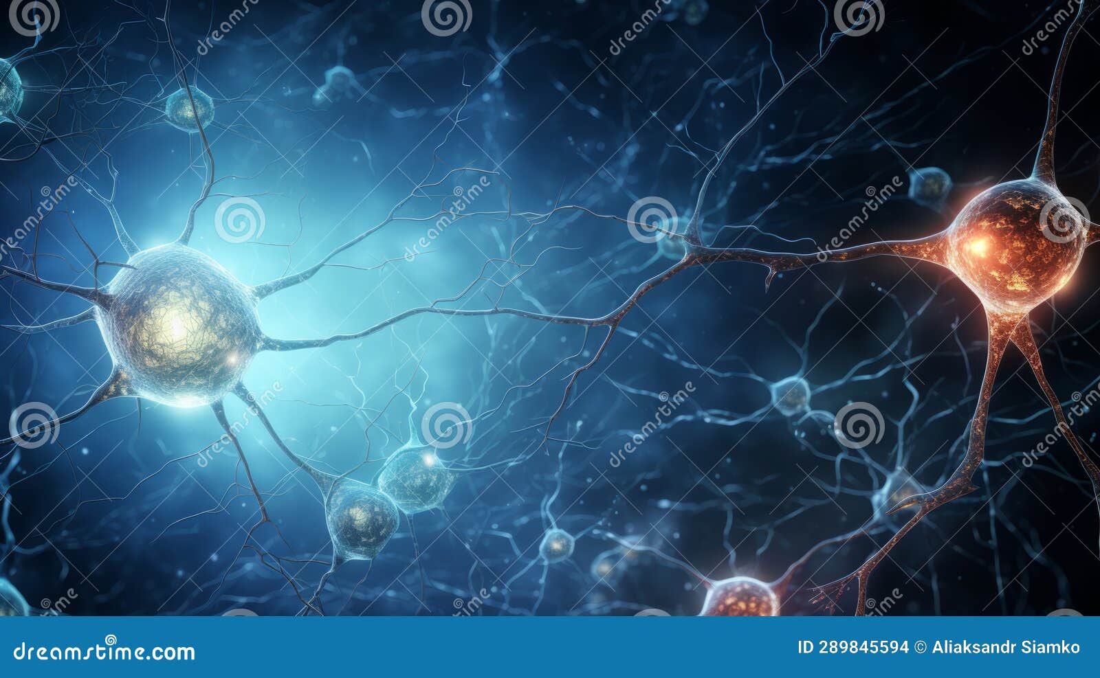 Microscopic View of Human Brain Neurons Stock Illustration ...