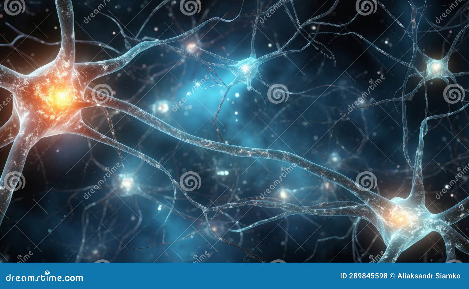 Microscopic View of Human Brain Neurons Stock Photo - Image of mental ...