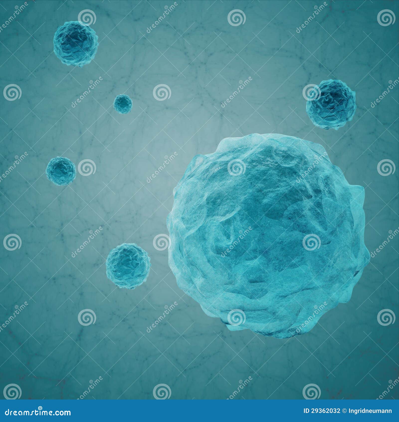 Microscopic View of Human Cells Stock Illustration - Illustration of ...
