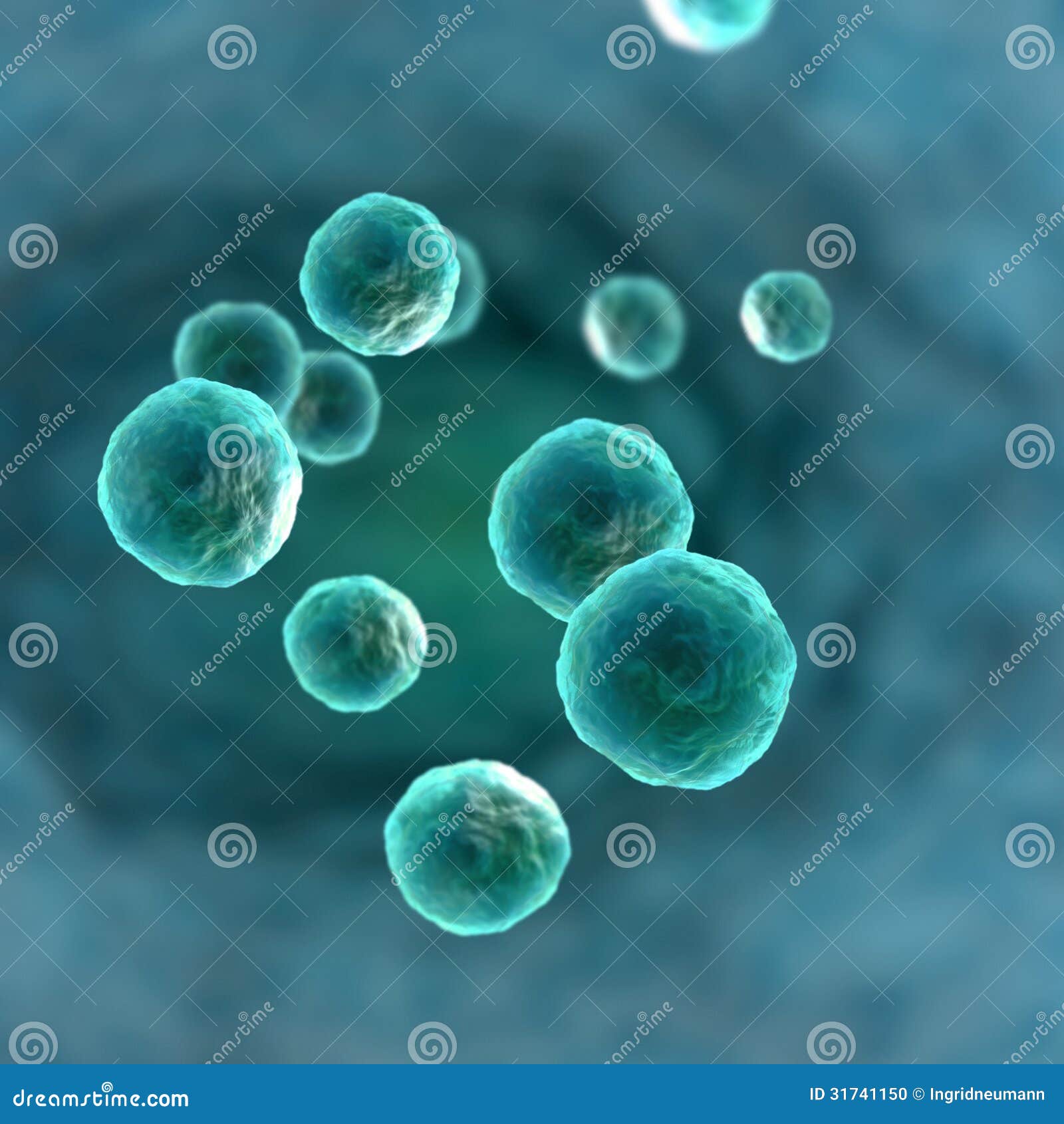 Microscopic View of Human Cells Stock Illustration - Illustration of ...