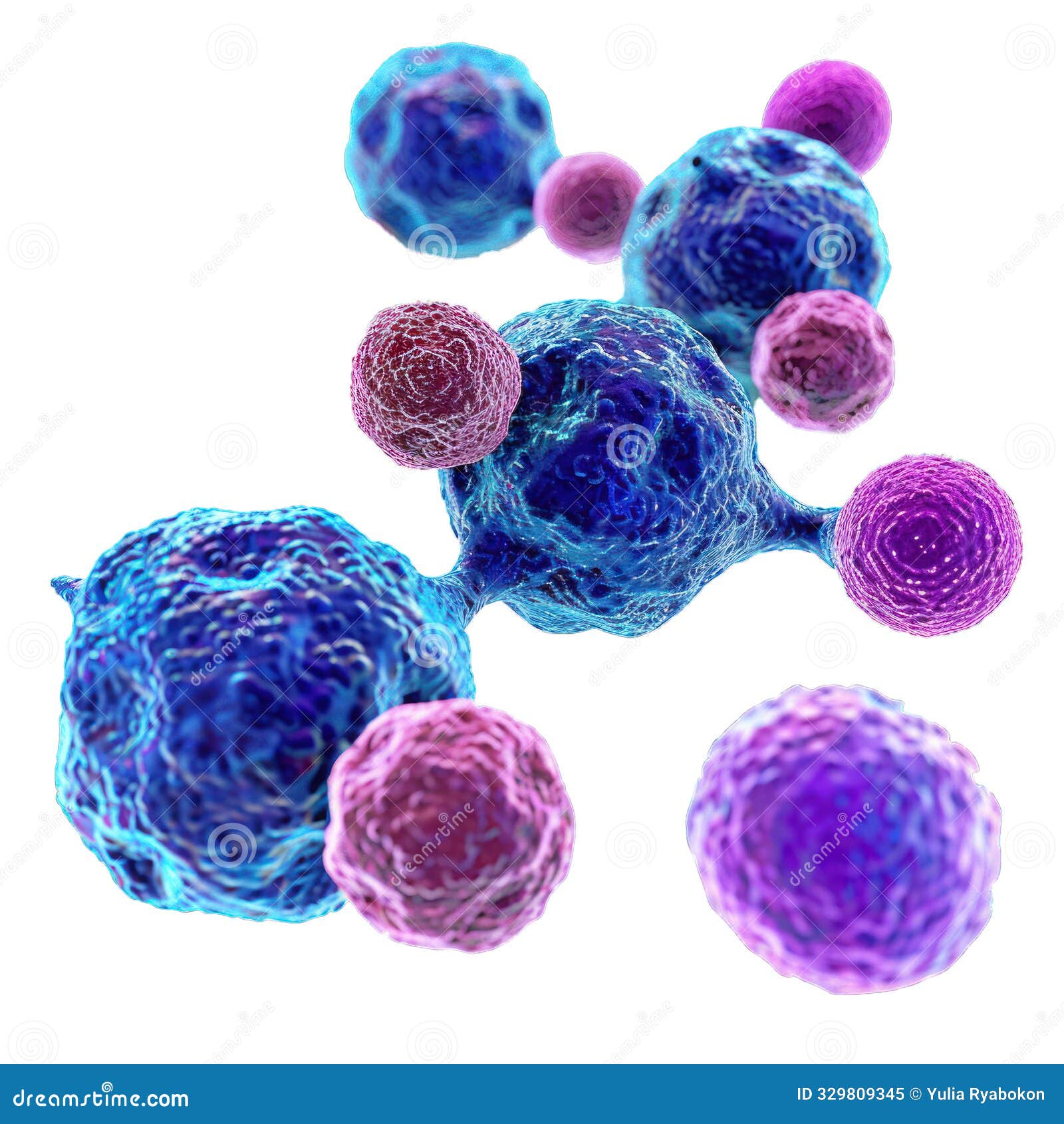 Microscopic View of Immune System Cells Attacking Pathogenic Bacteria ...
