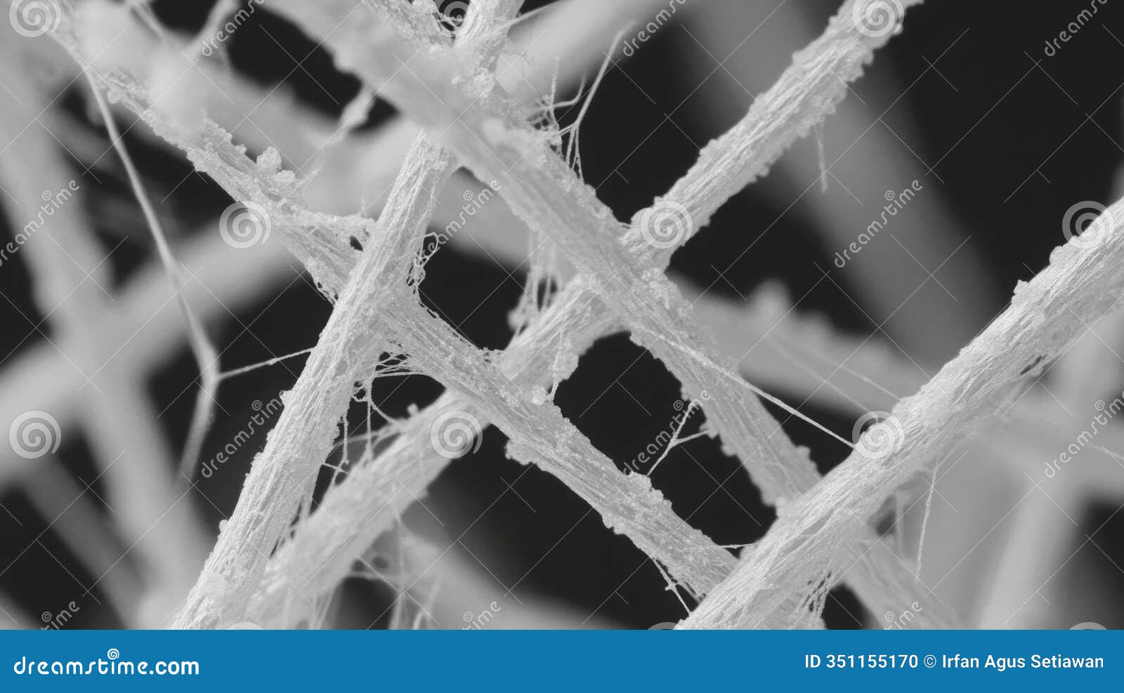 Microscopic View of Intertwined Fibrous Structures Stock Illustration ...