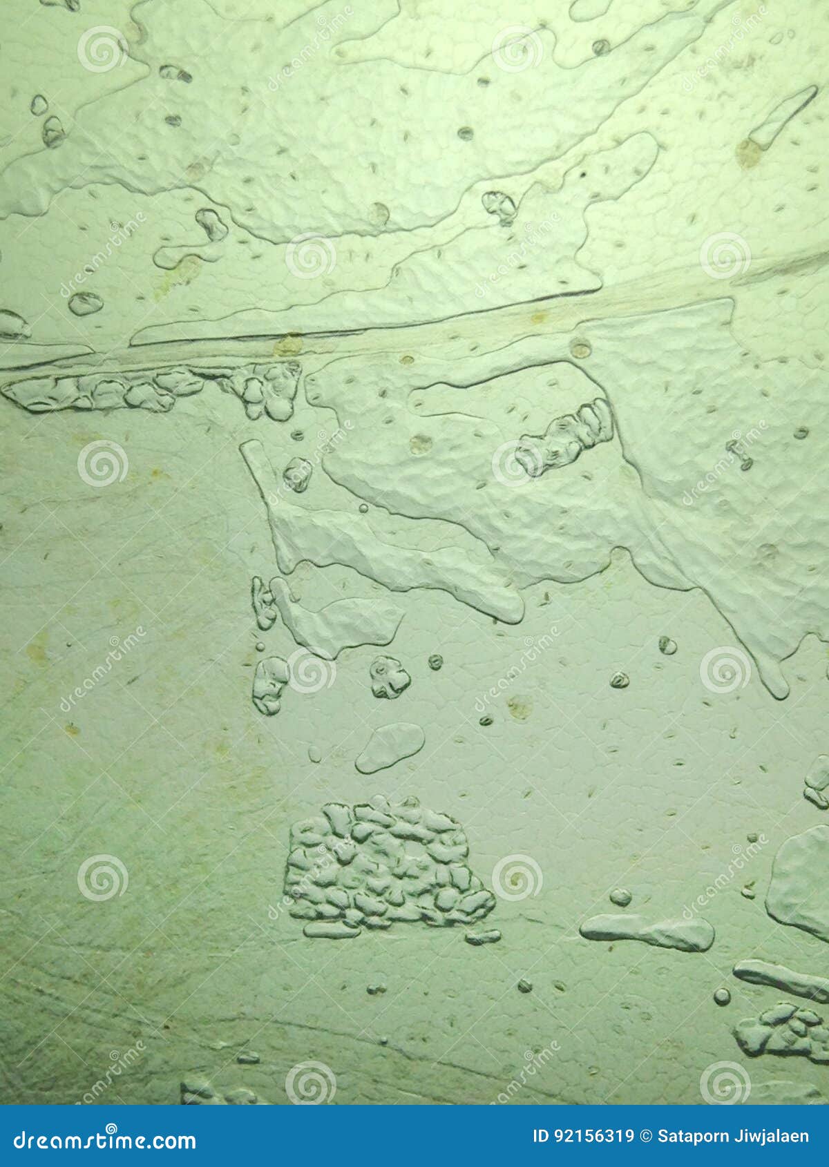 A Microscopic View of the Leaf Surface Stock Image - Image of medicine ...