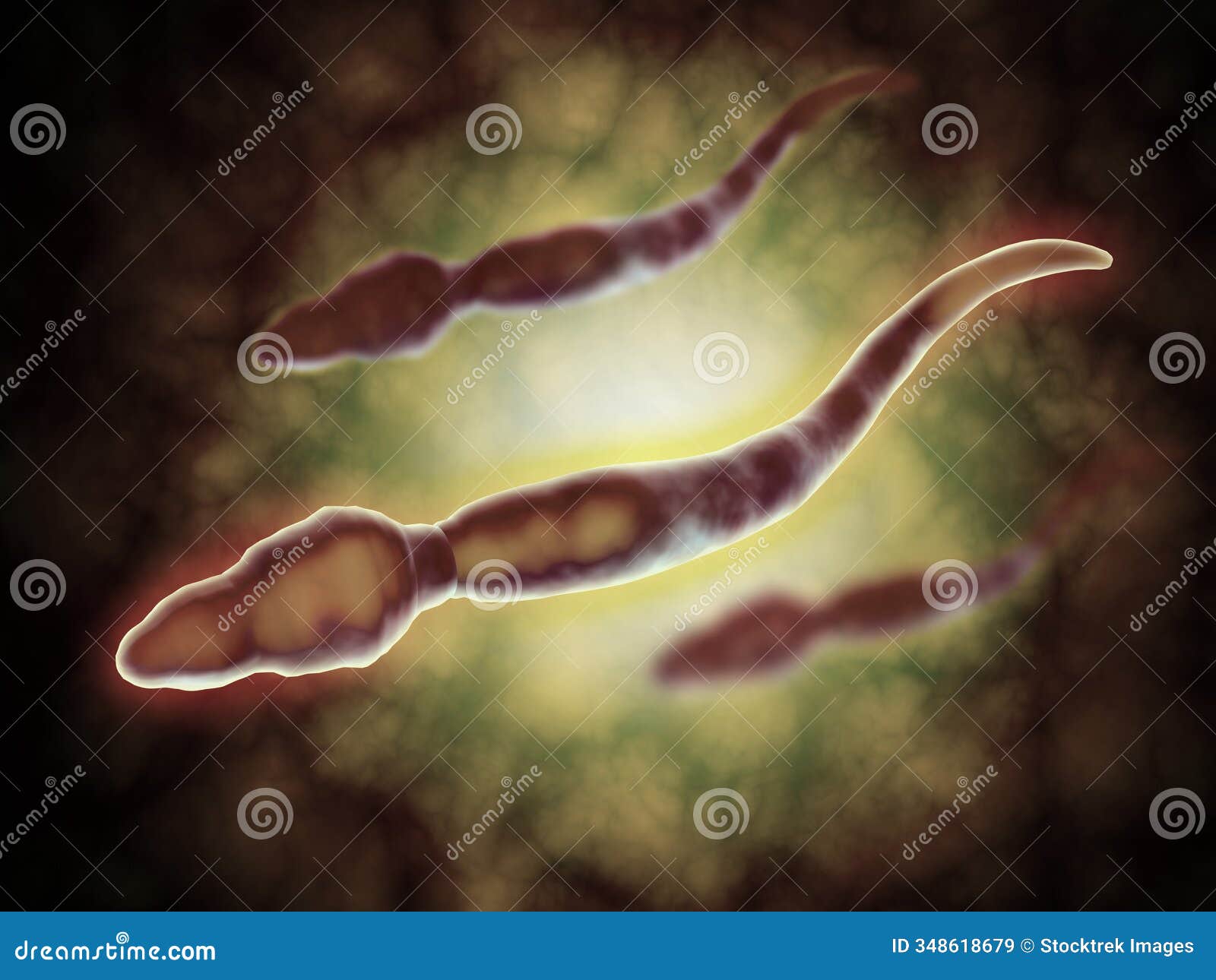 Microscopic View of Male Sperm Cells. Stock Illustration - Illustration ...