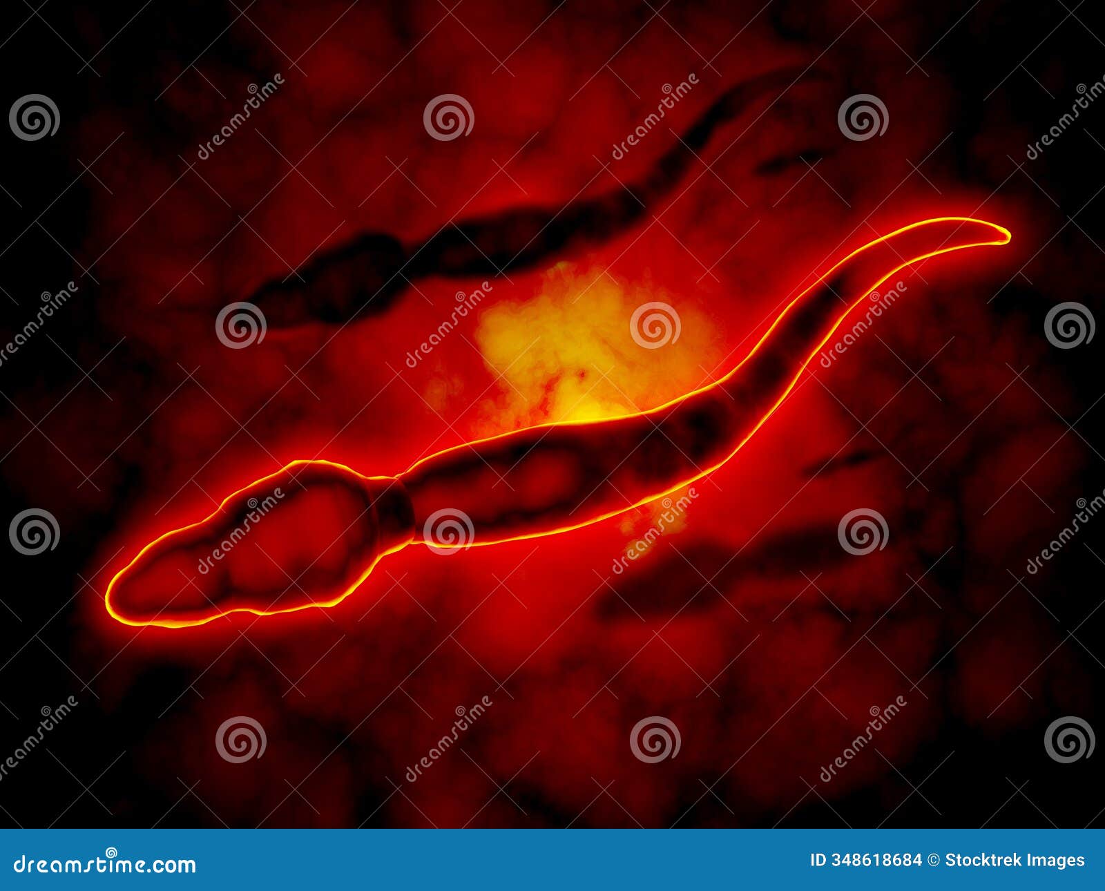 Microscopic View of Male Sperm Cells. Stock Illustration - Illustration ...