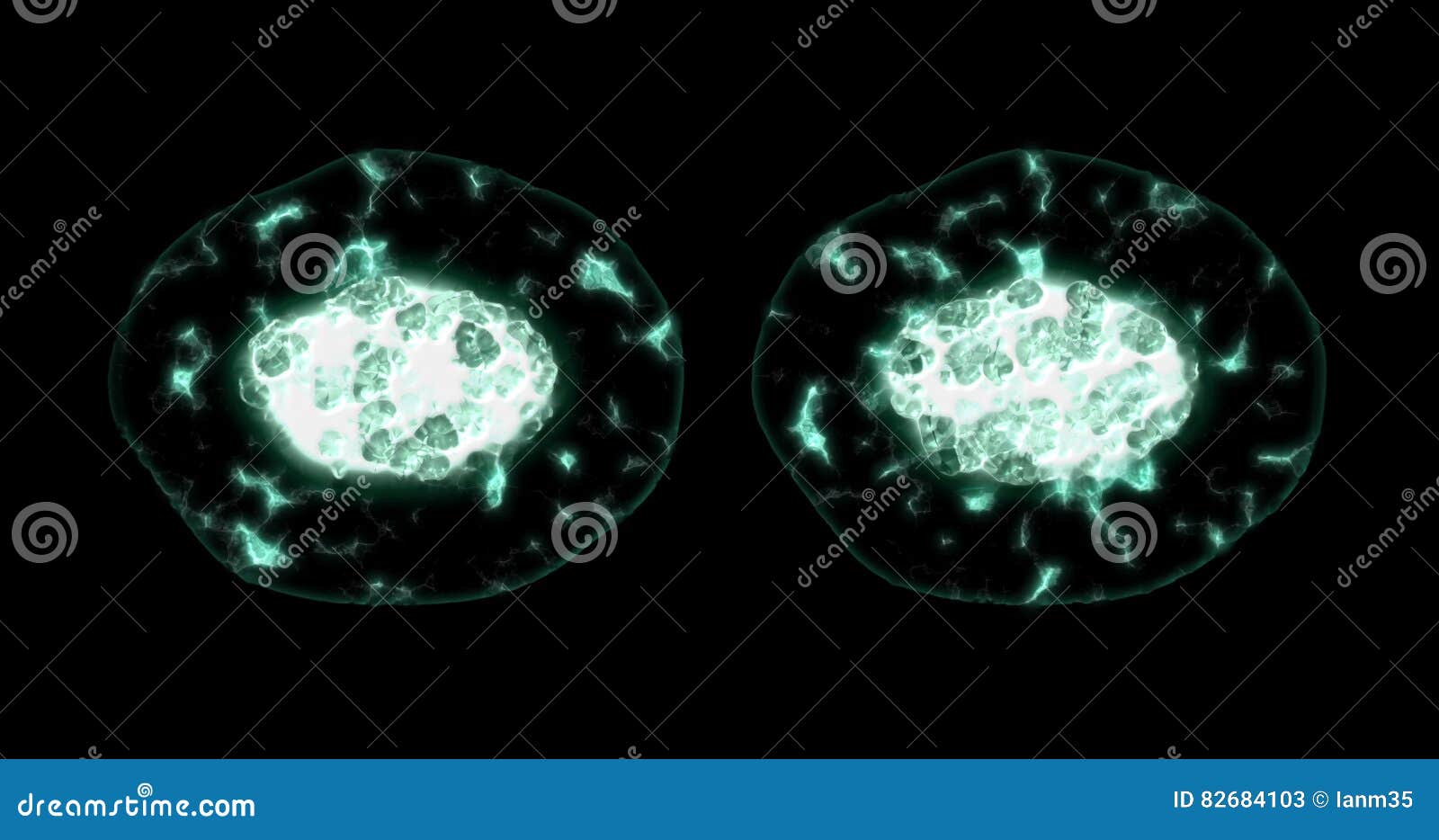 Mitosis Animation Stock Footage & Videos - 295 Stock Videos