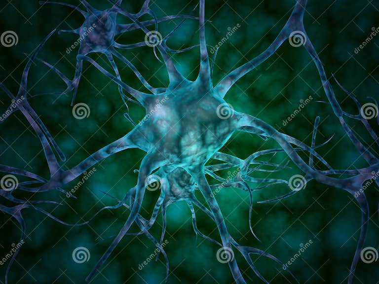 Microscopic View of Multiple Nerve Cells, Known As Neurons. Stock ...