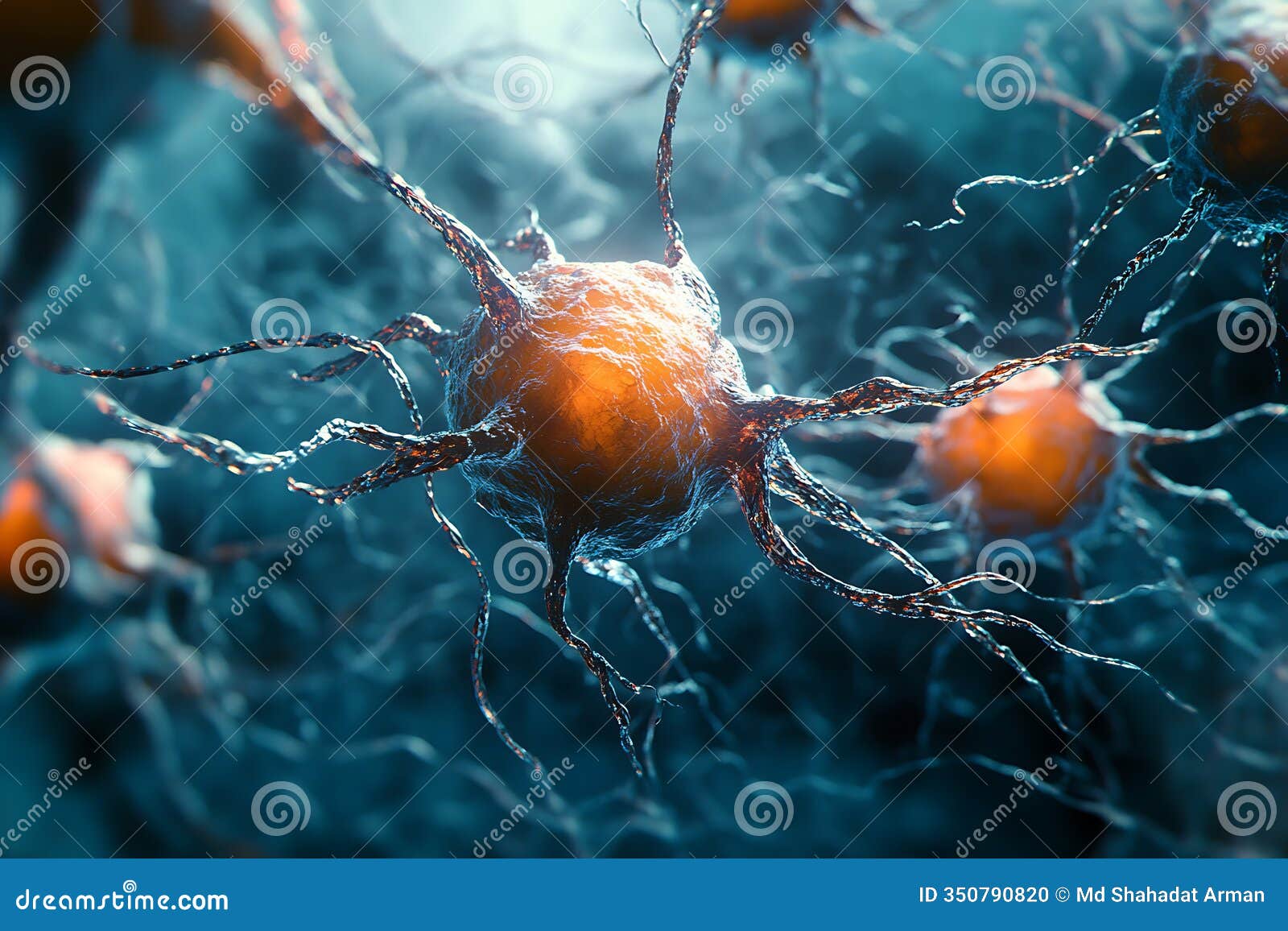 A Neuron, The Basic Unit Of The Nervous System, Is Shown With Its ...