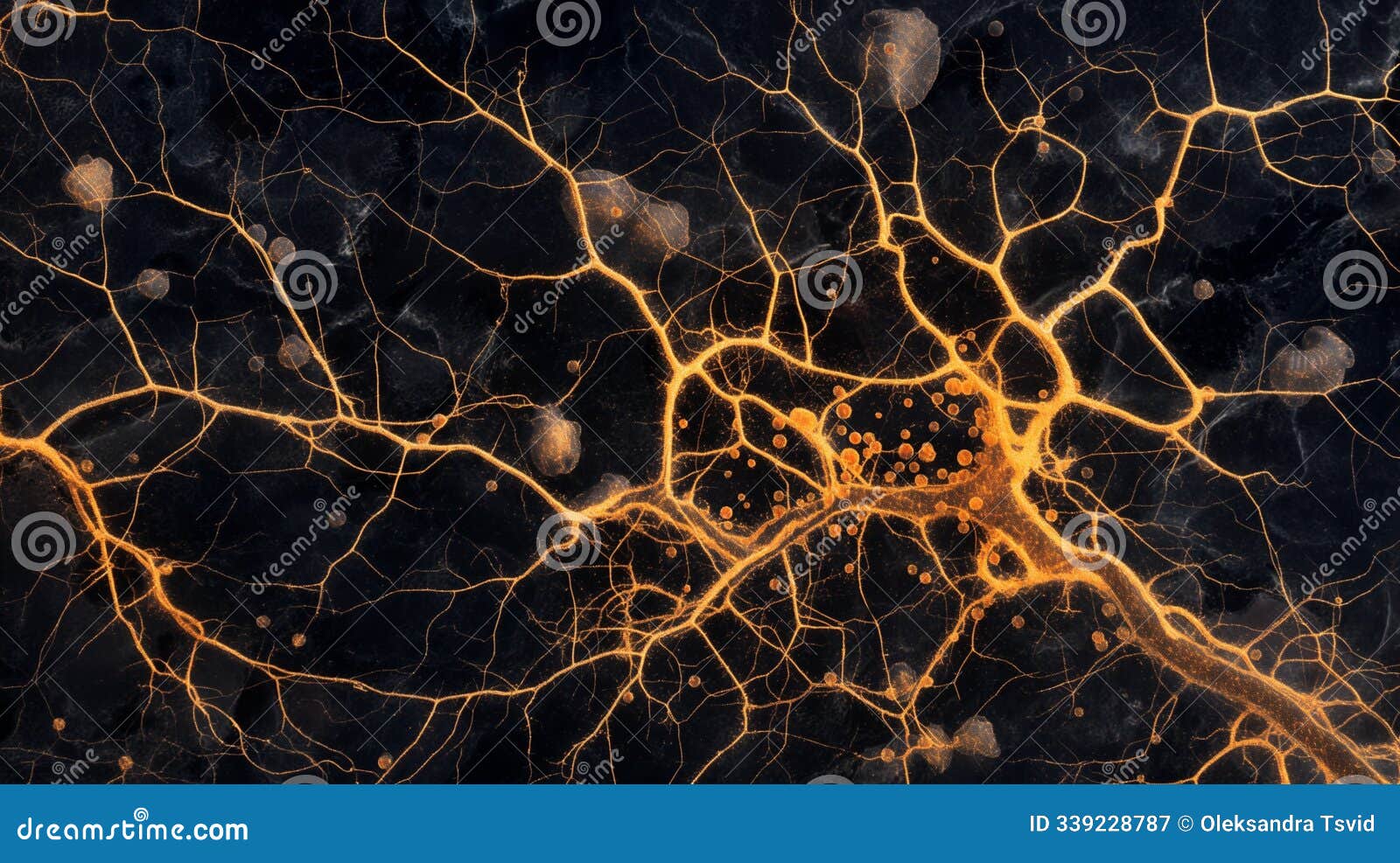 Microscopic View of a Neuron, Revealing the Complex Network of ... Microscopic View of a Neuron, Revealing the Complex Network of ...