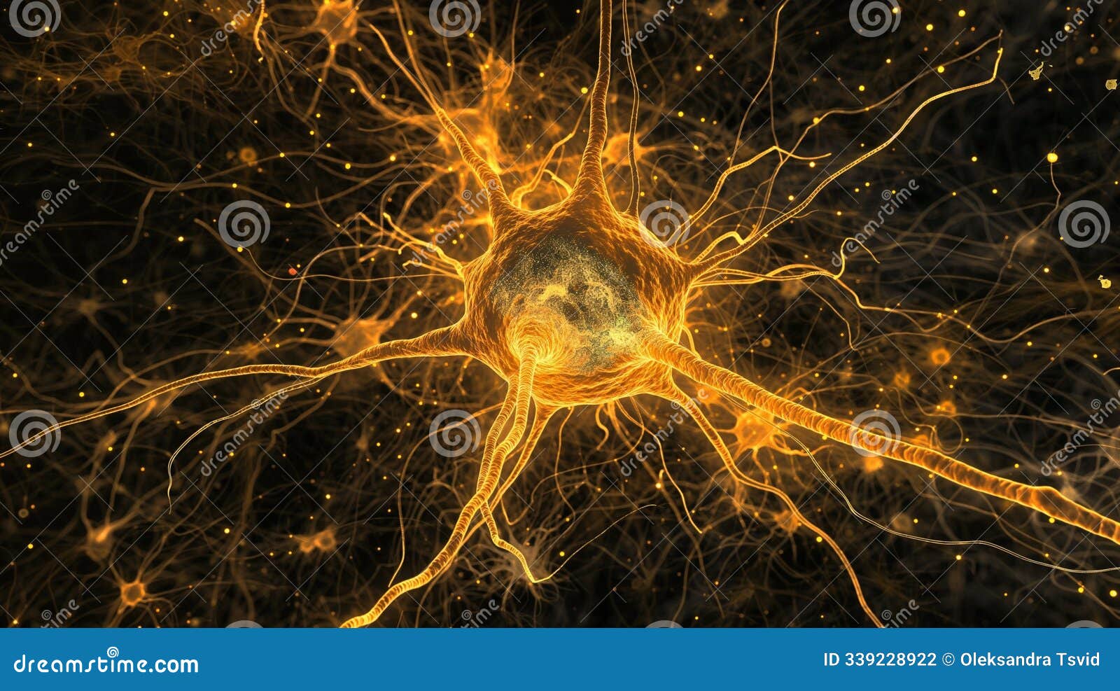 Microscopic View of a Neuron, Revealing the Complex Network of ... Microscopic View of a Neuron, Revealing the Complex Network of ...