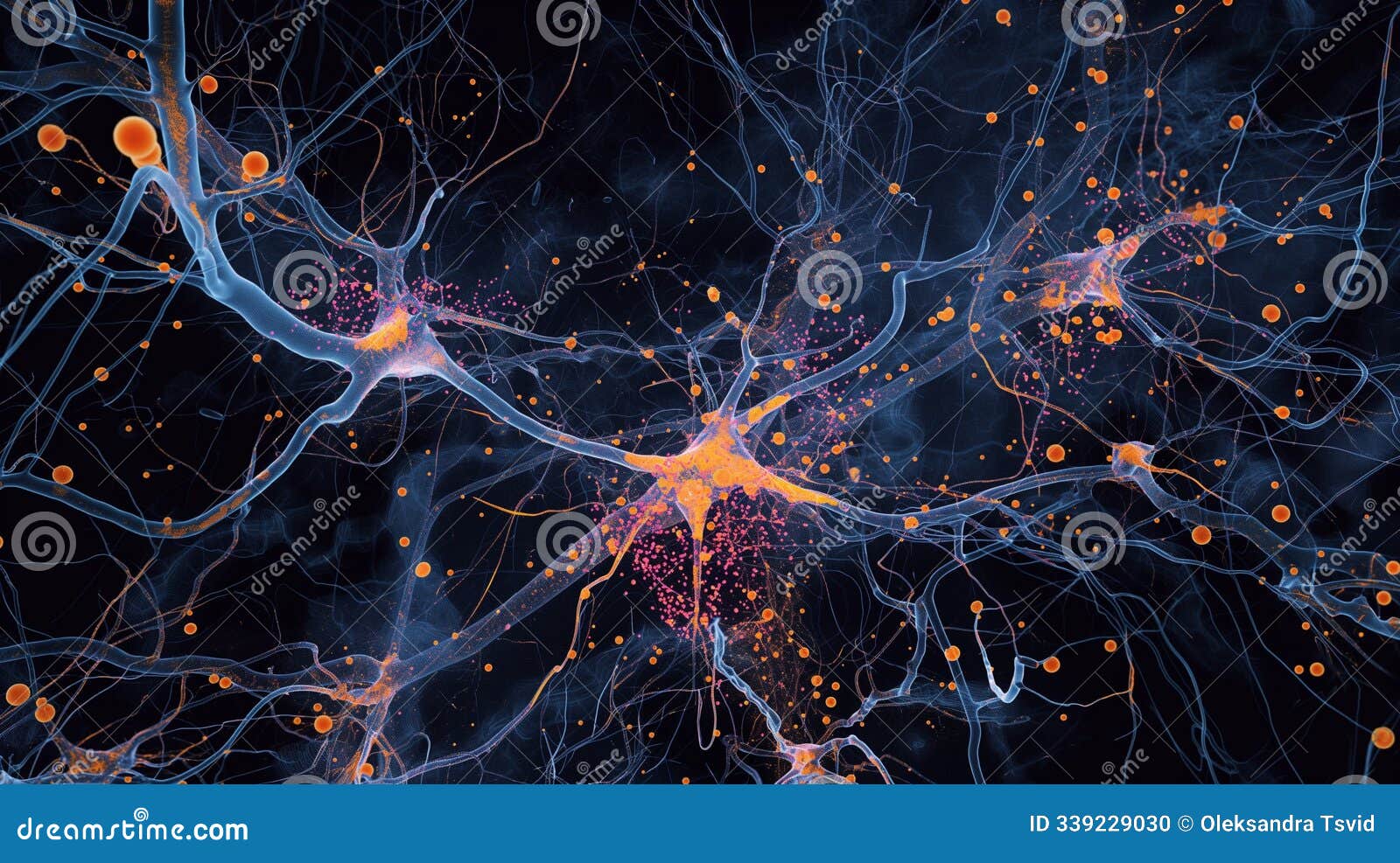Microscopic View of a Neuron, Revealing the Complex Network of ...