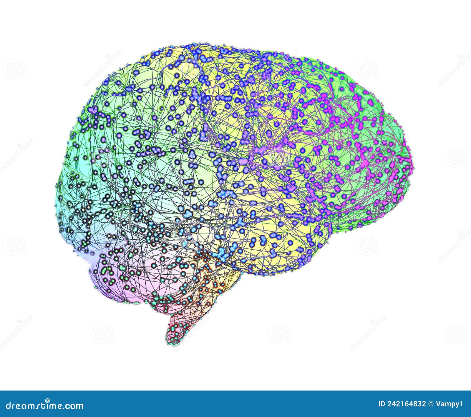 Neurons, Brain Cells Located In Amygdala, 3D Illustration Royalty-Free ...