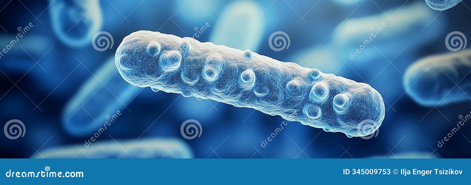 Microscopic View of Probiotics, Lactobacillus, and Bifidobacterium ...