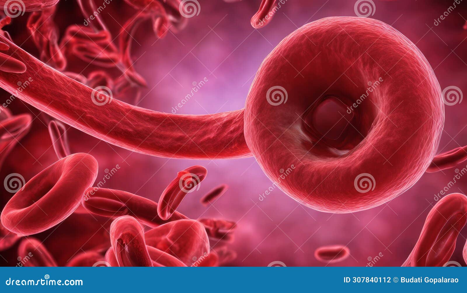 Microscopic View of Red Blood Cells in Motion Stock Illustration ...