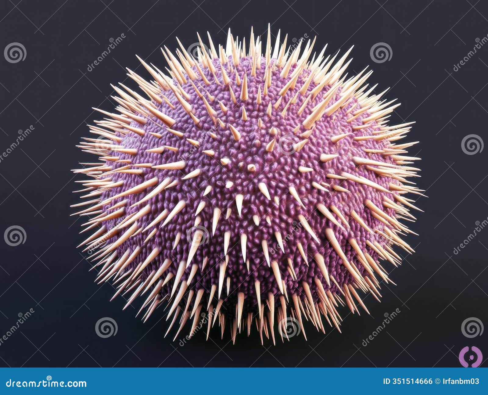 Microscopic View Shows Spiky Pollen Grain Surface Texture with Detailed ...