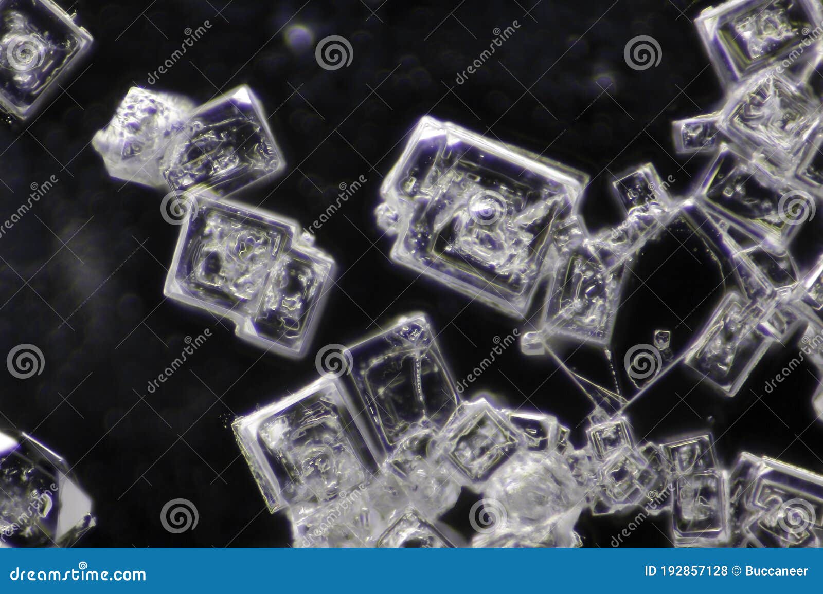 Microscopic View of Sodium Chloride Crystals Stock Photo - Image of ...